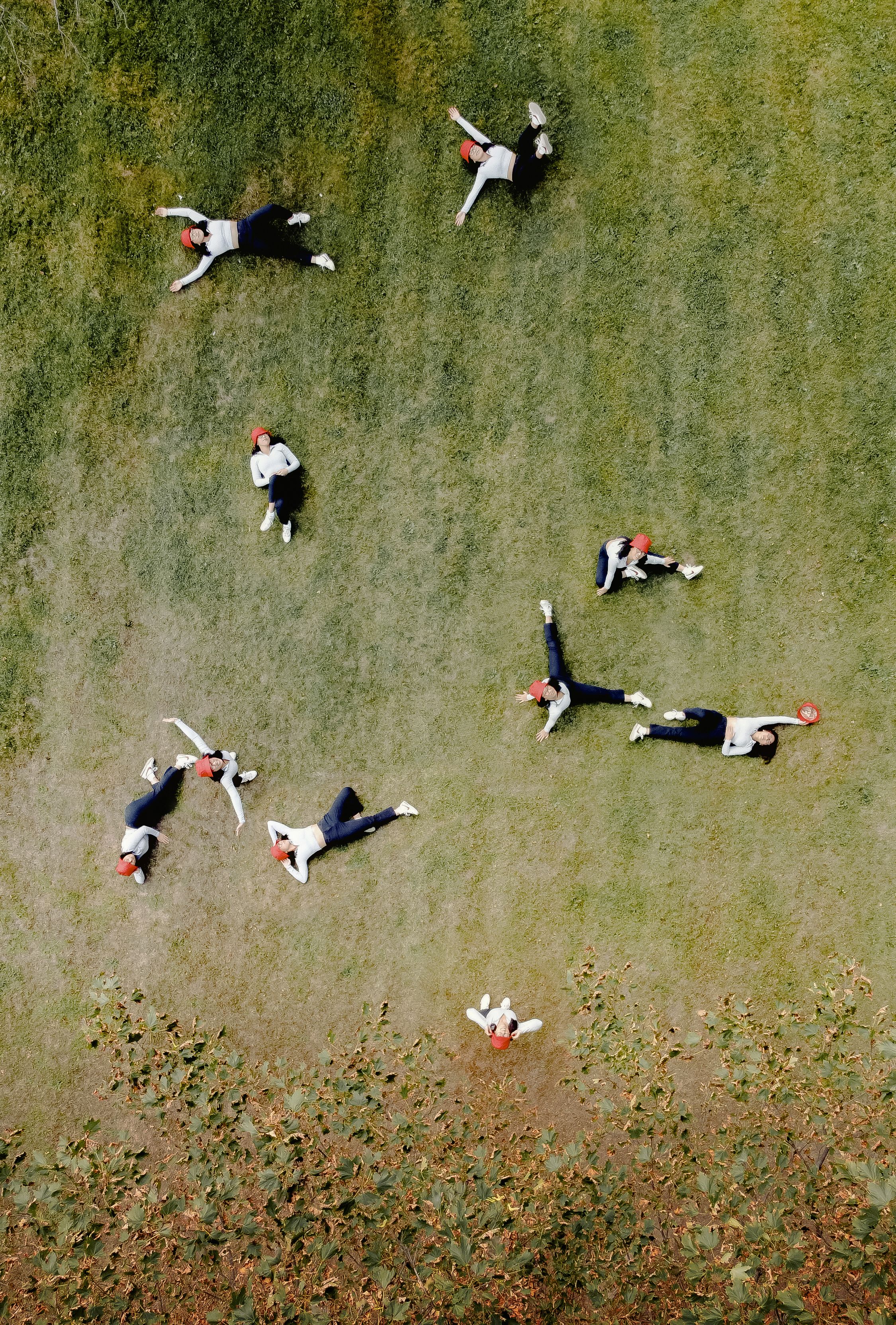 Laying On Your Back In A Park Aerial View Photos, Download The BEST ...