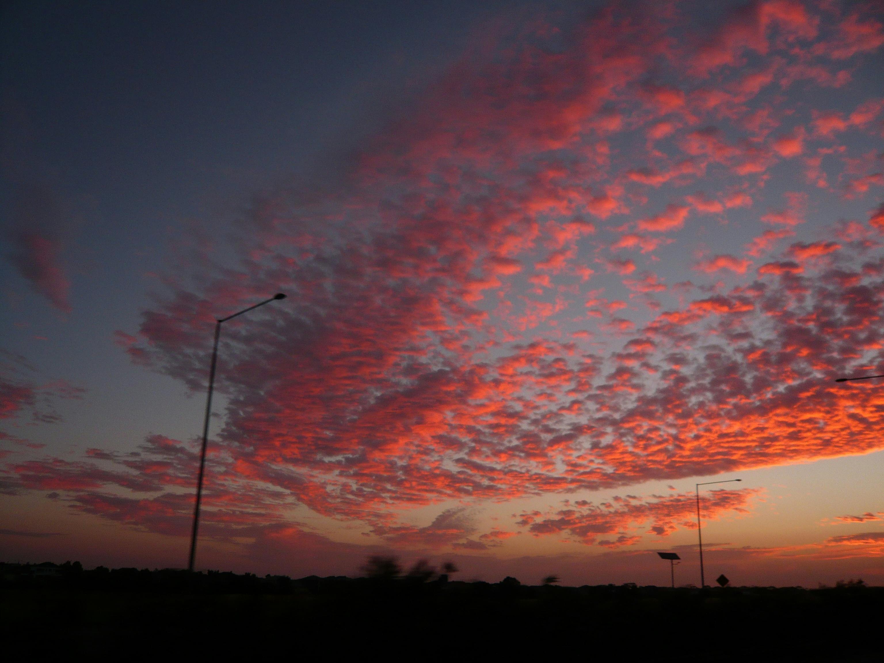 Free stock photo of pick sky, sunset