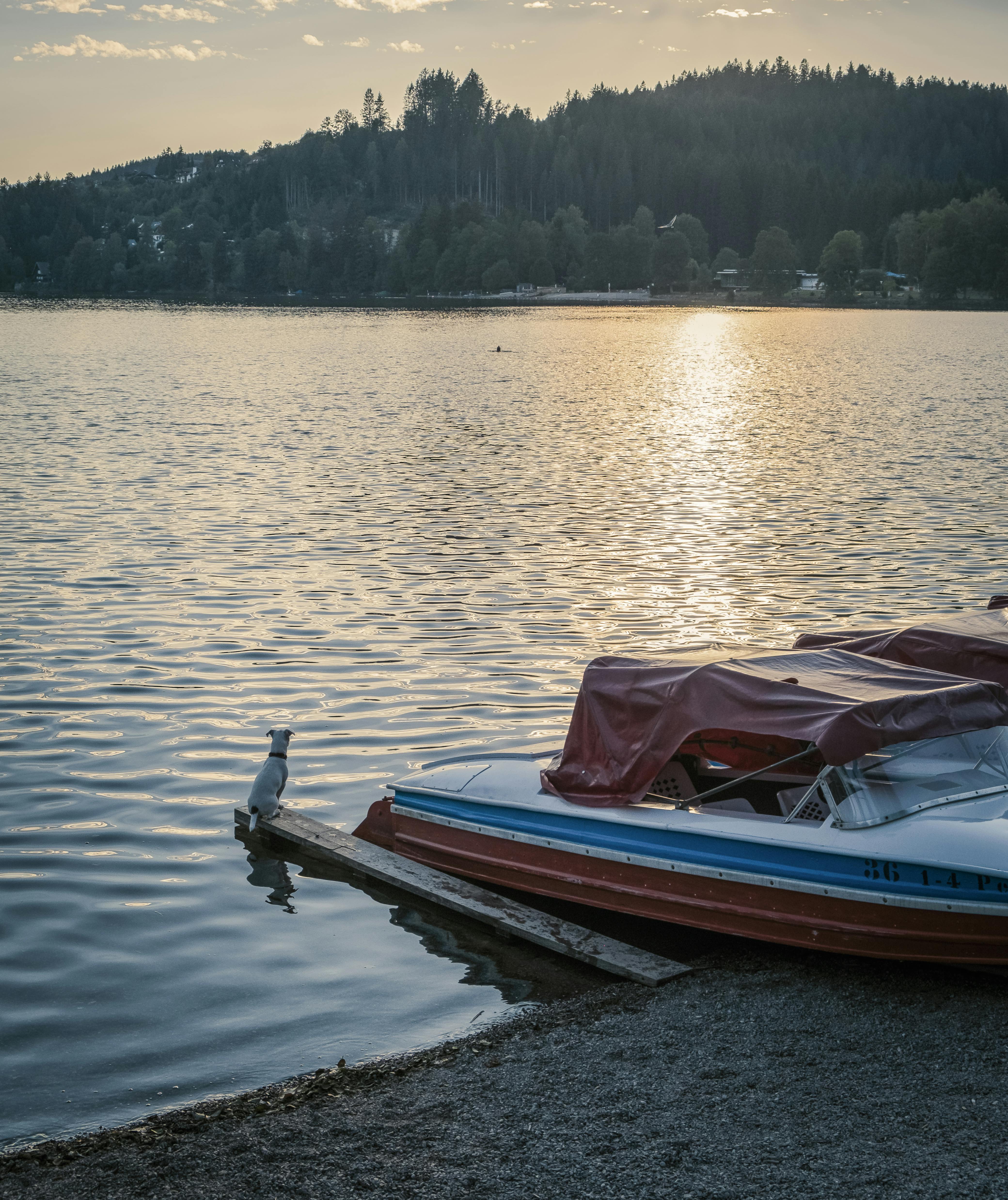 Boat on Water · Free Stock Photo