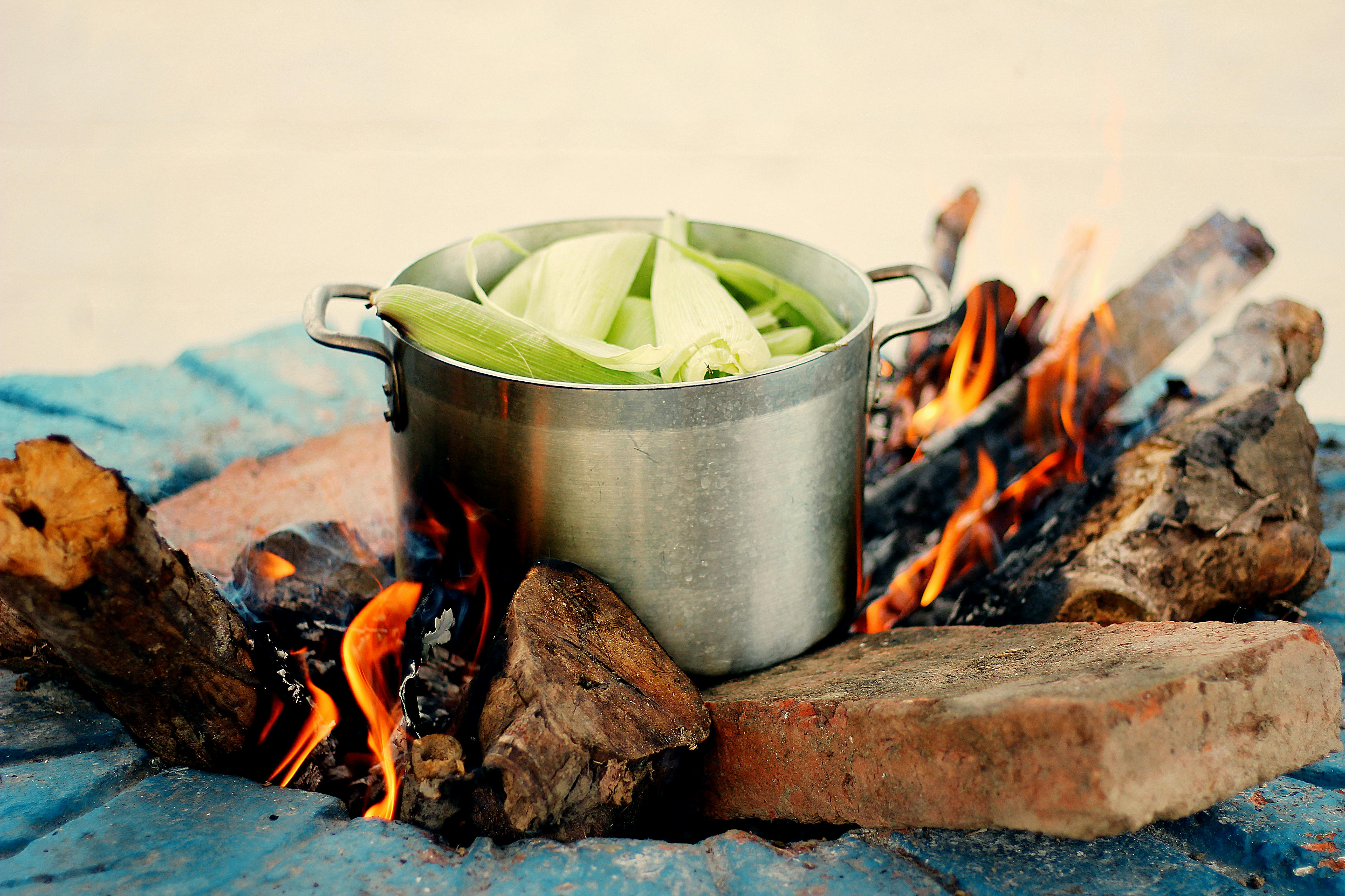 Stainless Steel Cooking Pot With Green Leaves on Fire · Free Stock Photo