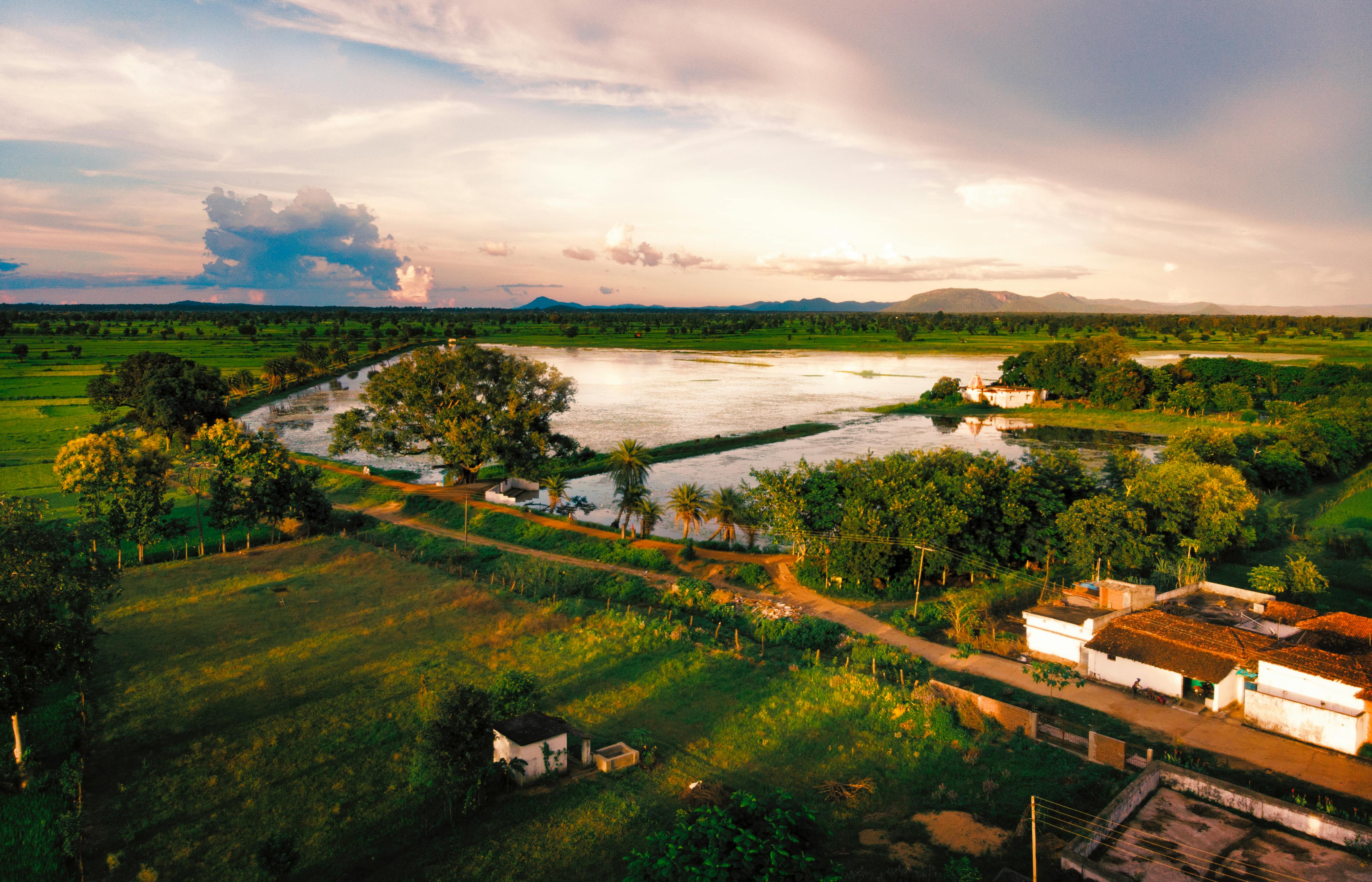 10+ Best Assam Photos · 100% Free Download · Pexels Stock Photos
