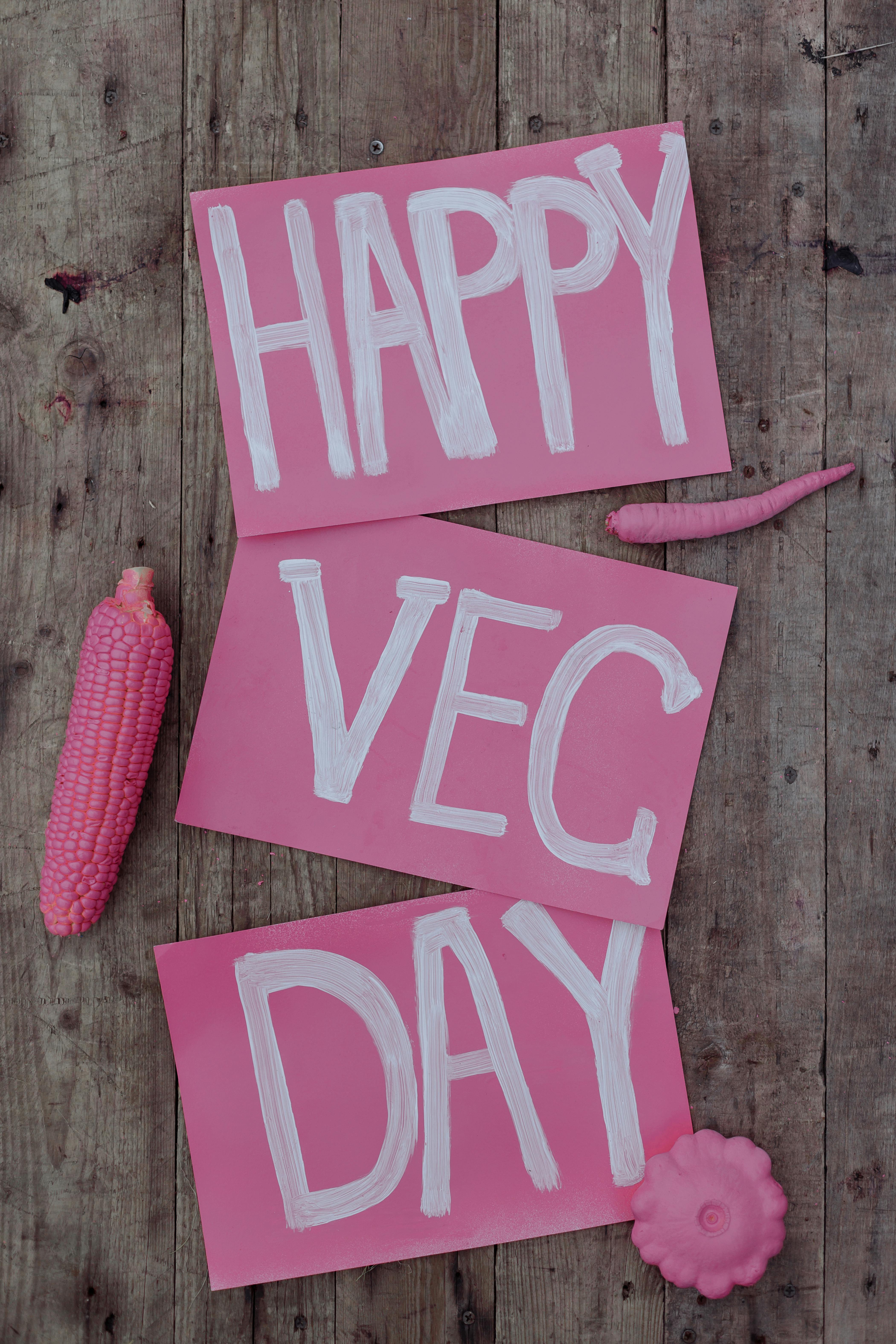 Soft Signs Photos, Download The BEST Free Soft Signs Stock Photos & HD ...