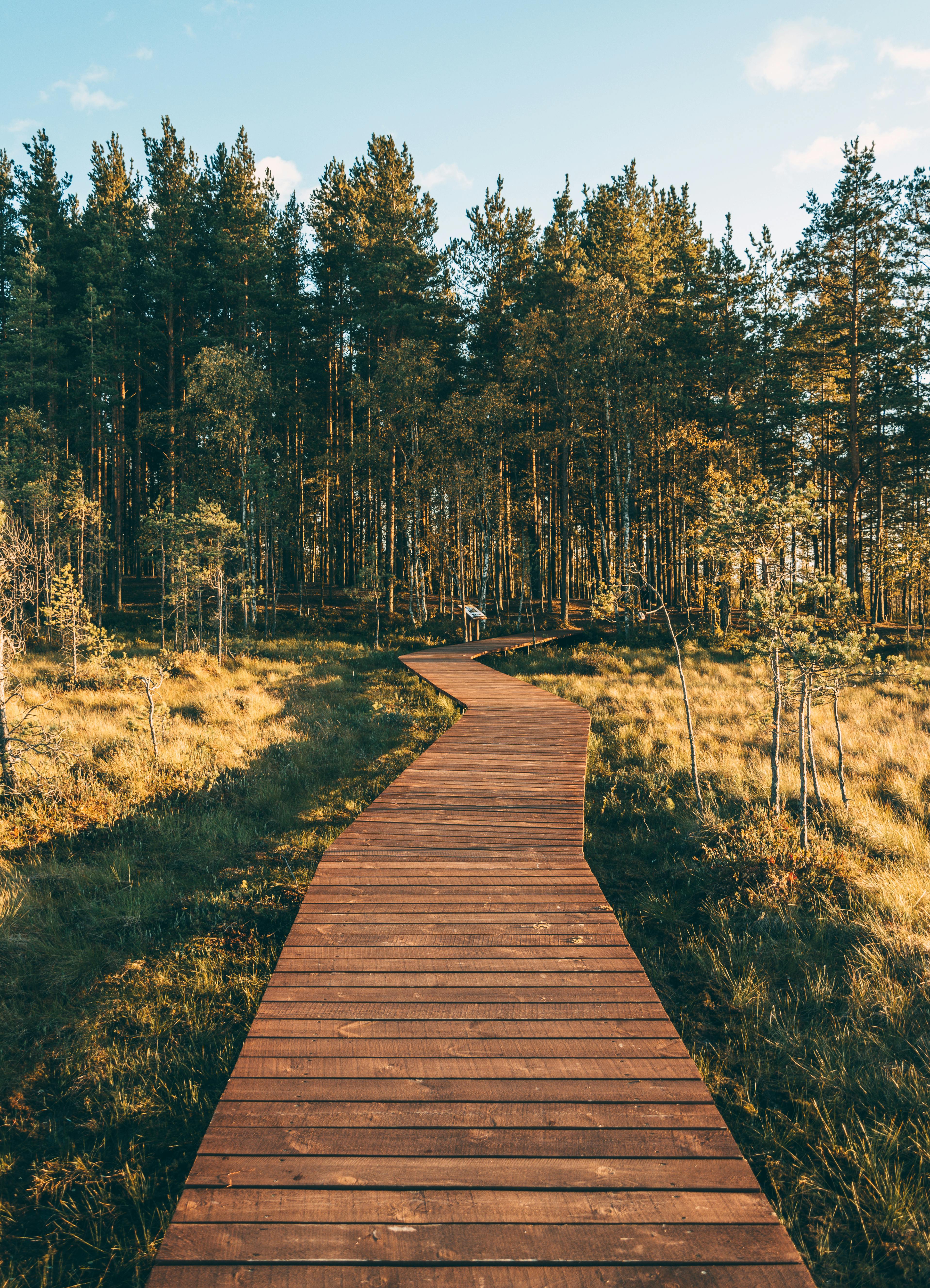 Narrow walkway between faded grass in countryside · Free Stock Photo