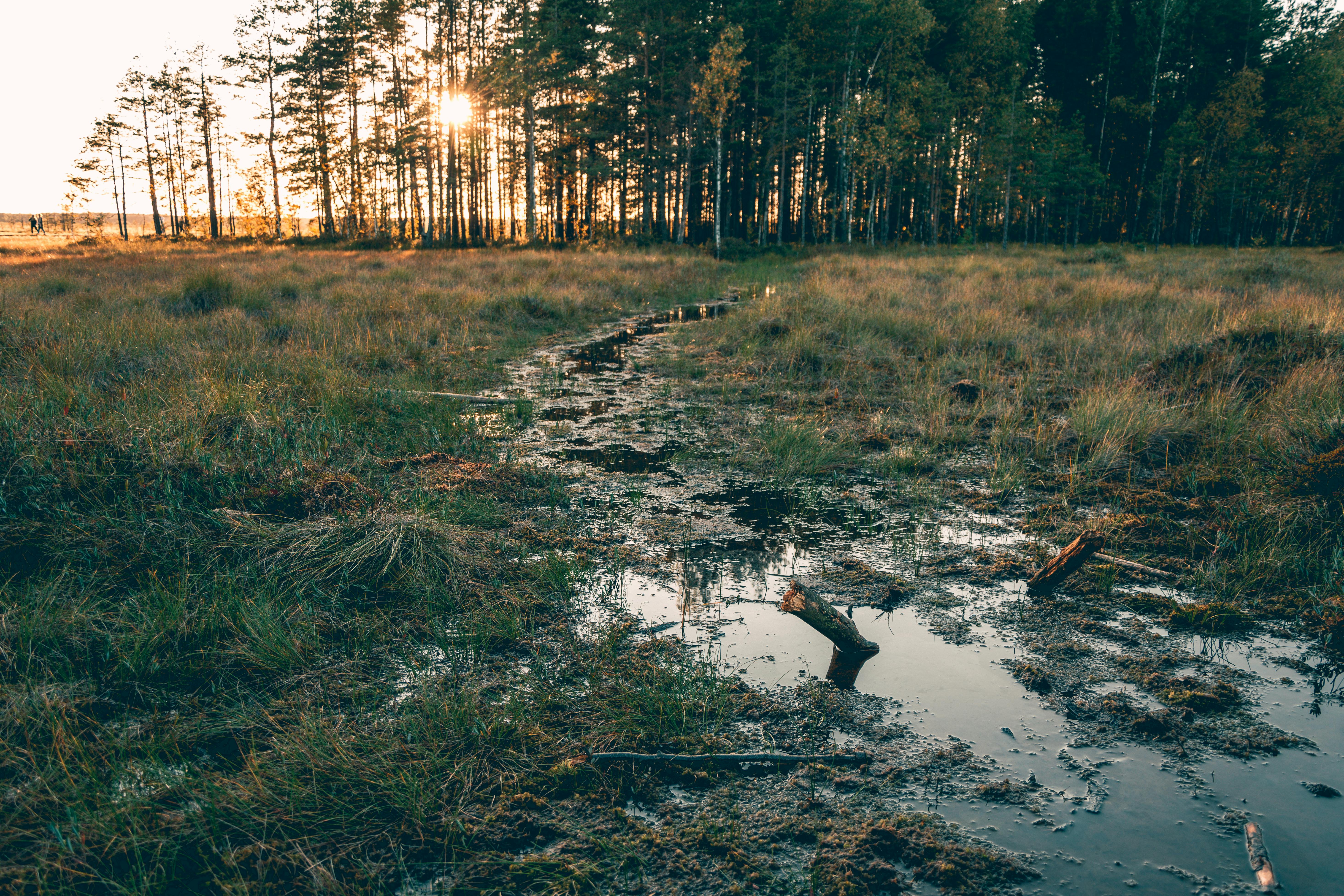 Sun Rays Falling On River Photos, Download The BEST Free Sun Rays ...