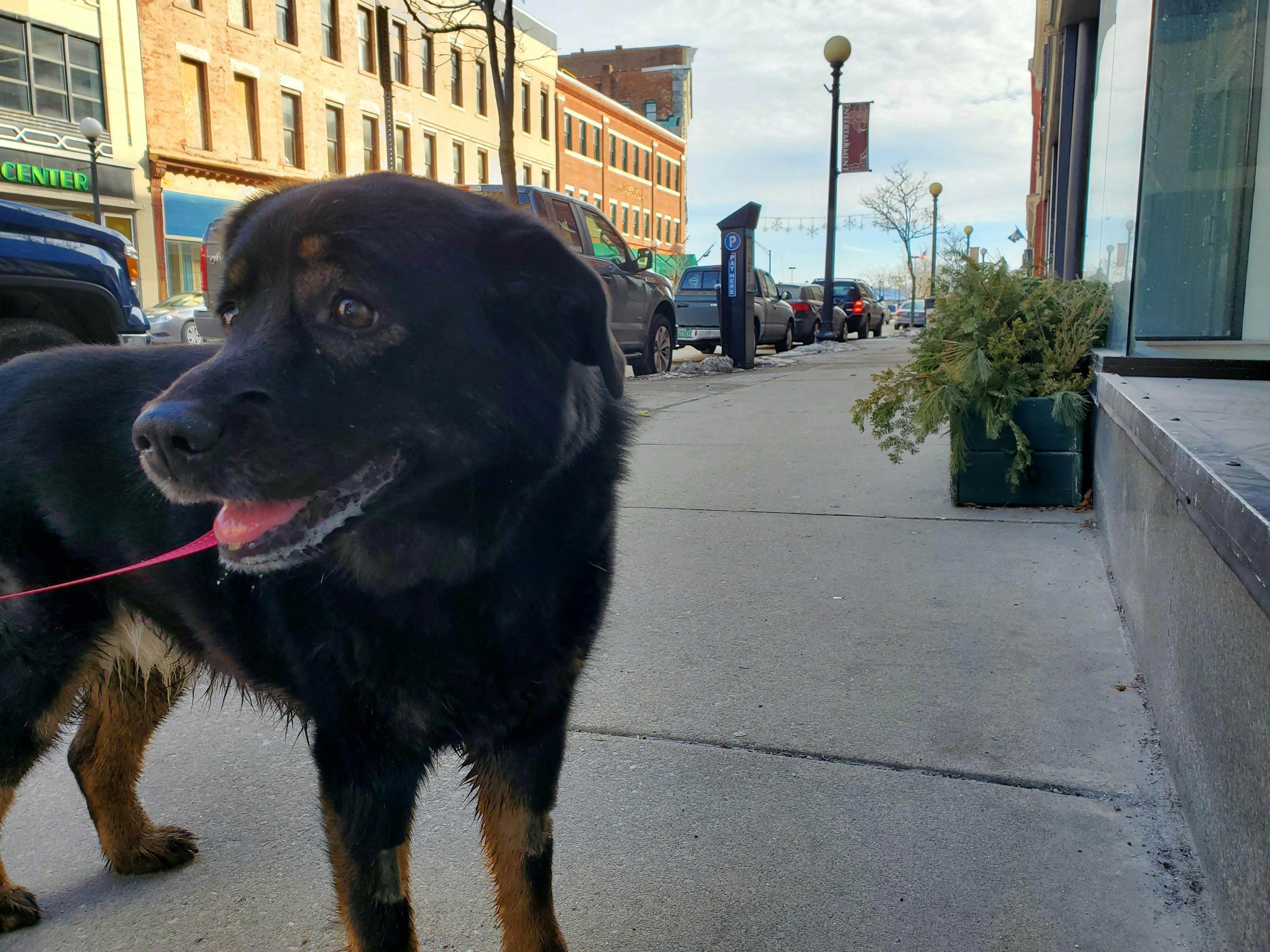 Charles Mosley Jr - Photography