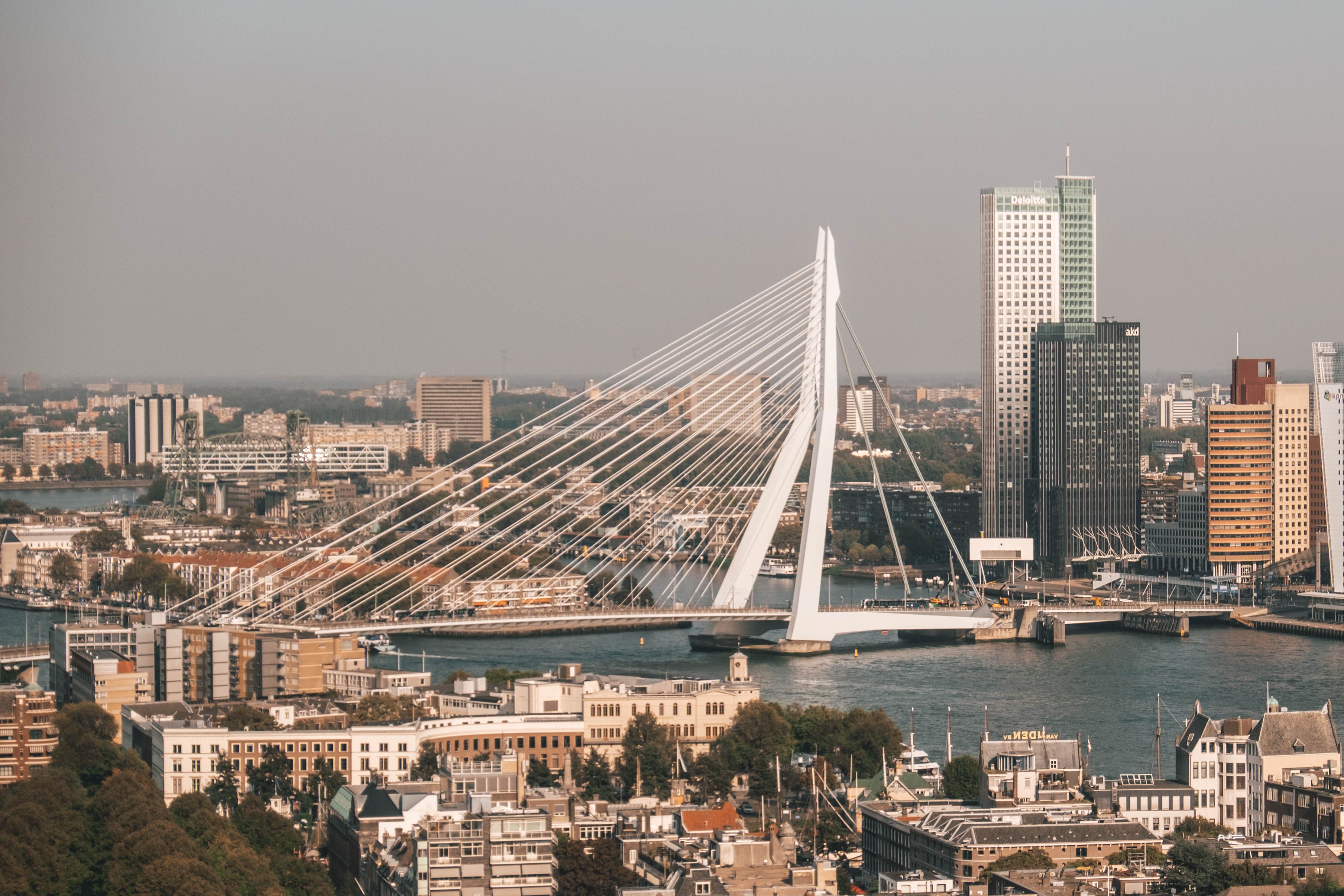 7 000+ Rotterdam banque d’images et photos libres de droit ...