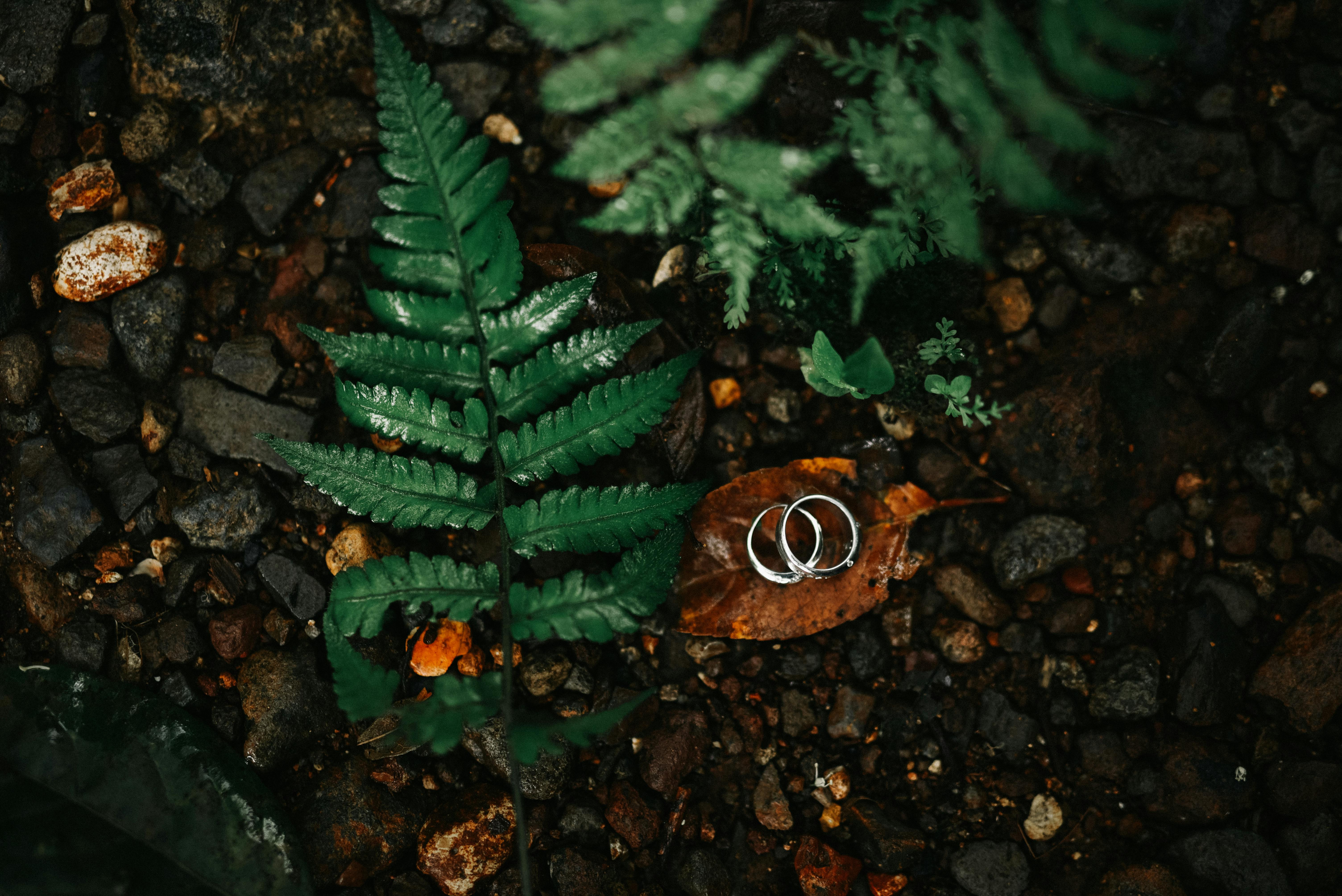 Wedding Raw Portrait Photos, Download The BEST Free Wedding Raw ...