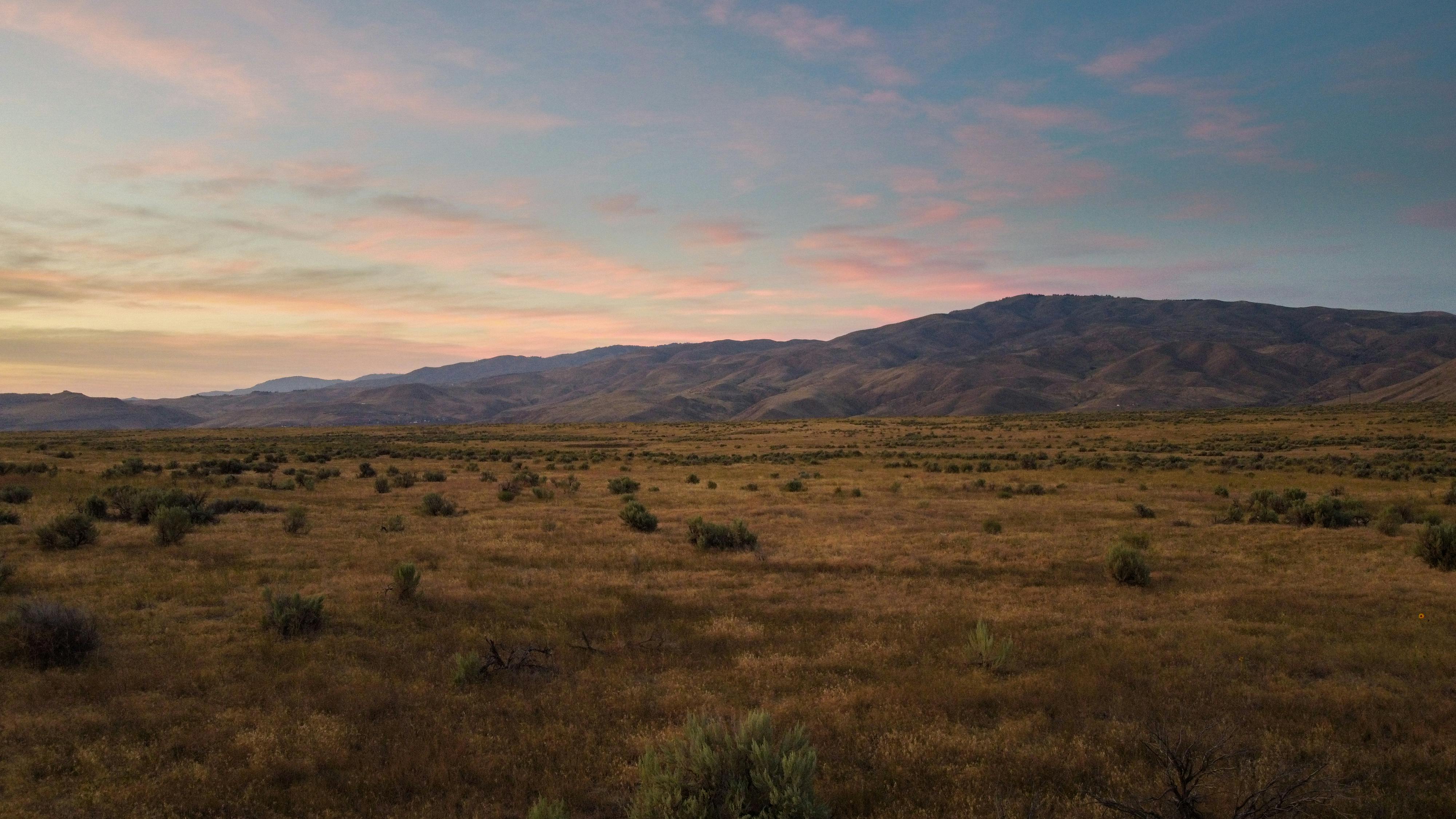 Bright sunset sky over countryside with trees · Free Stock Photo