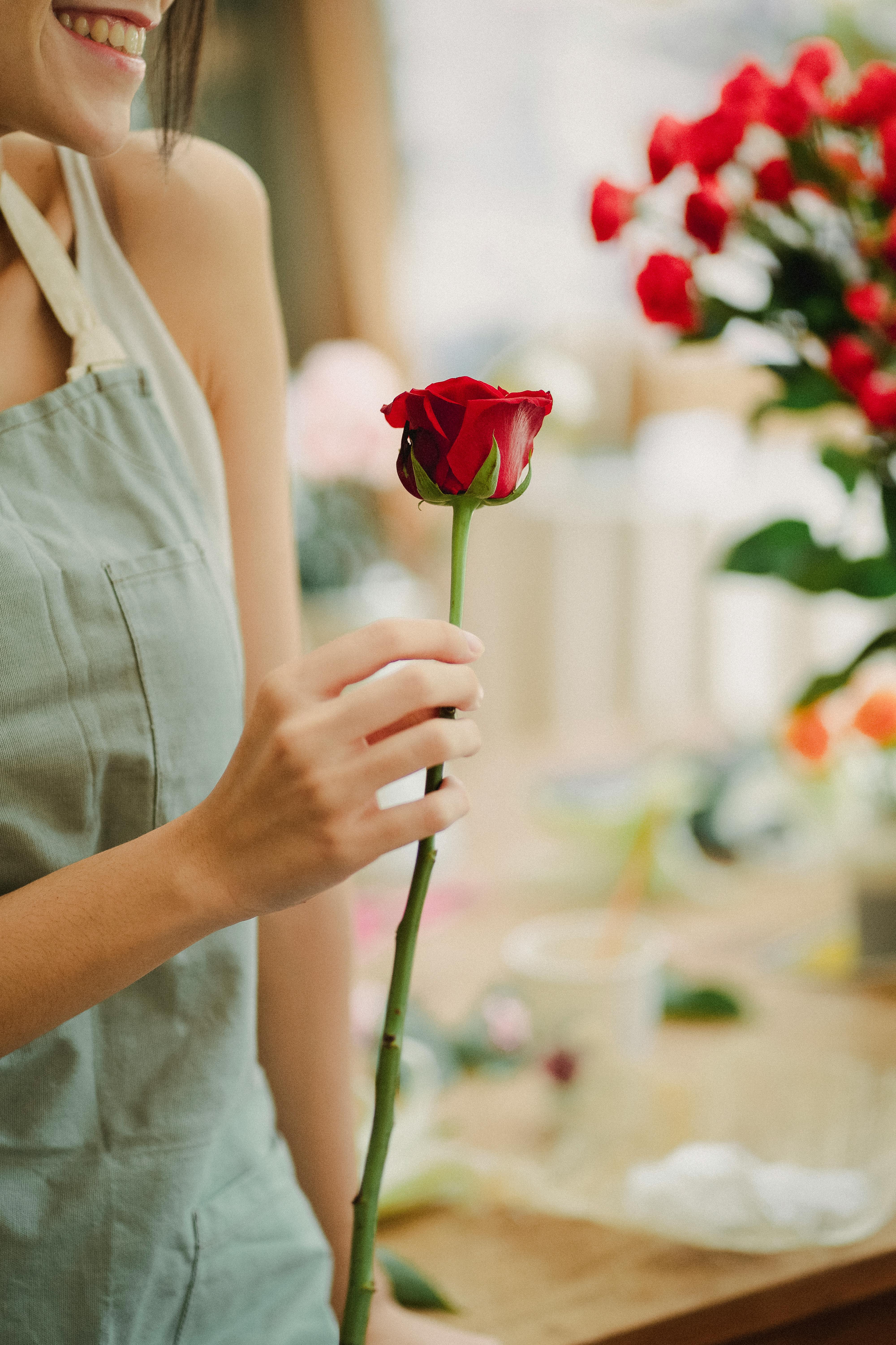 Crop florist with rose in floral shop · Free Stock Photo
