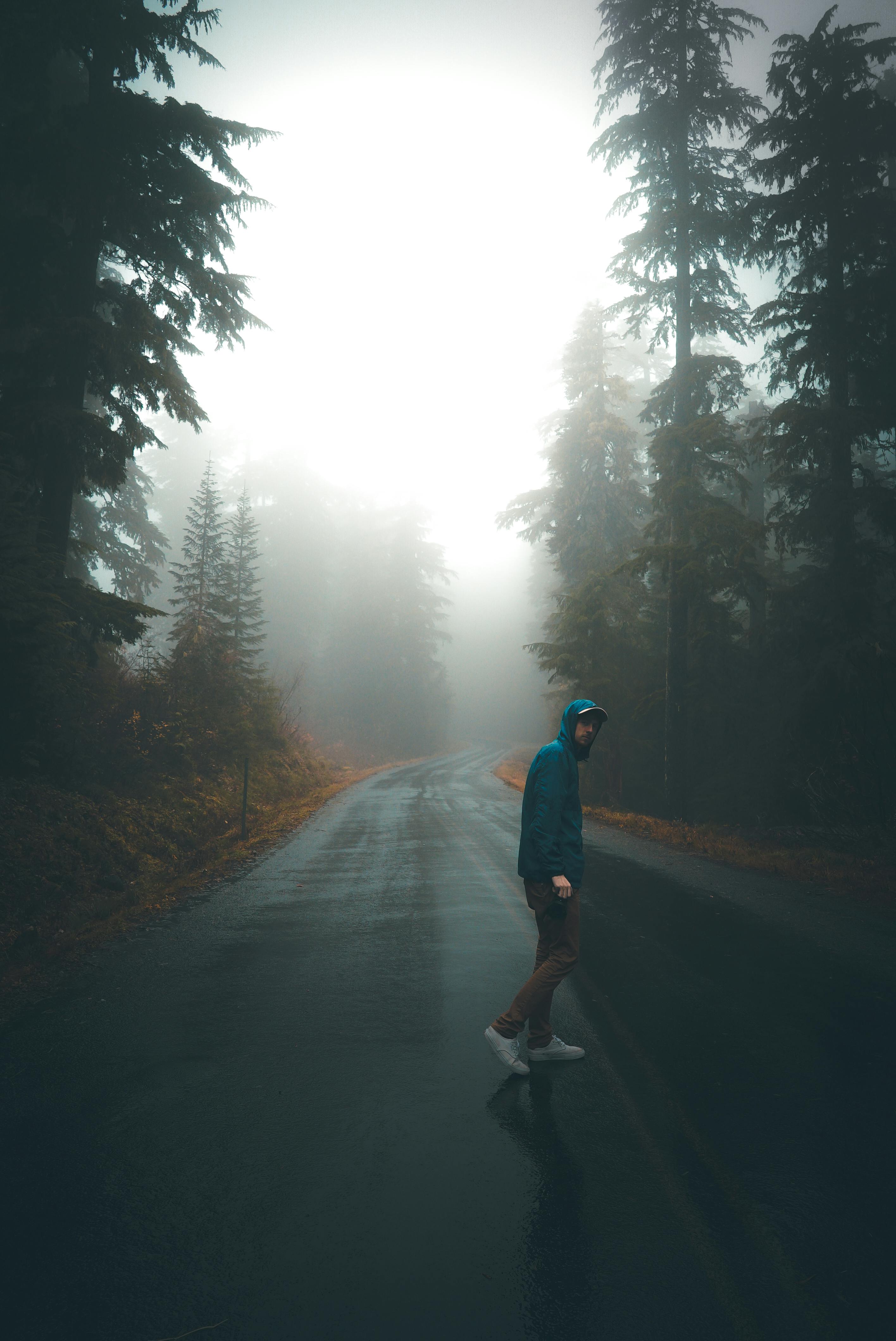 Man crossing lonely road in misty woods · Free Stock Photo