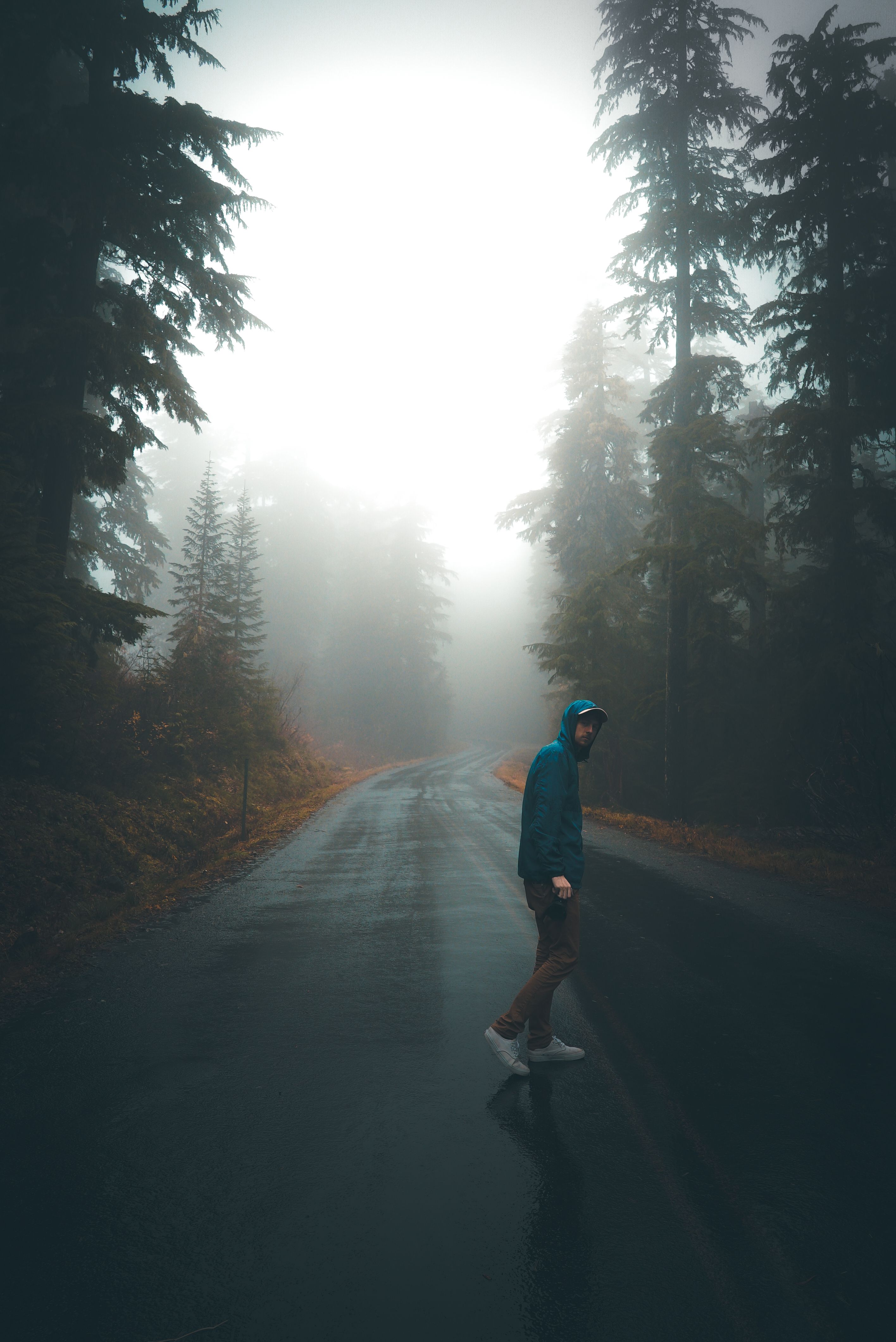 Man walking along road in forest · Free Stock Photo