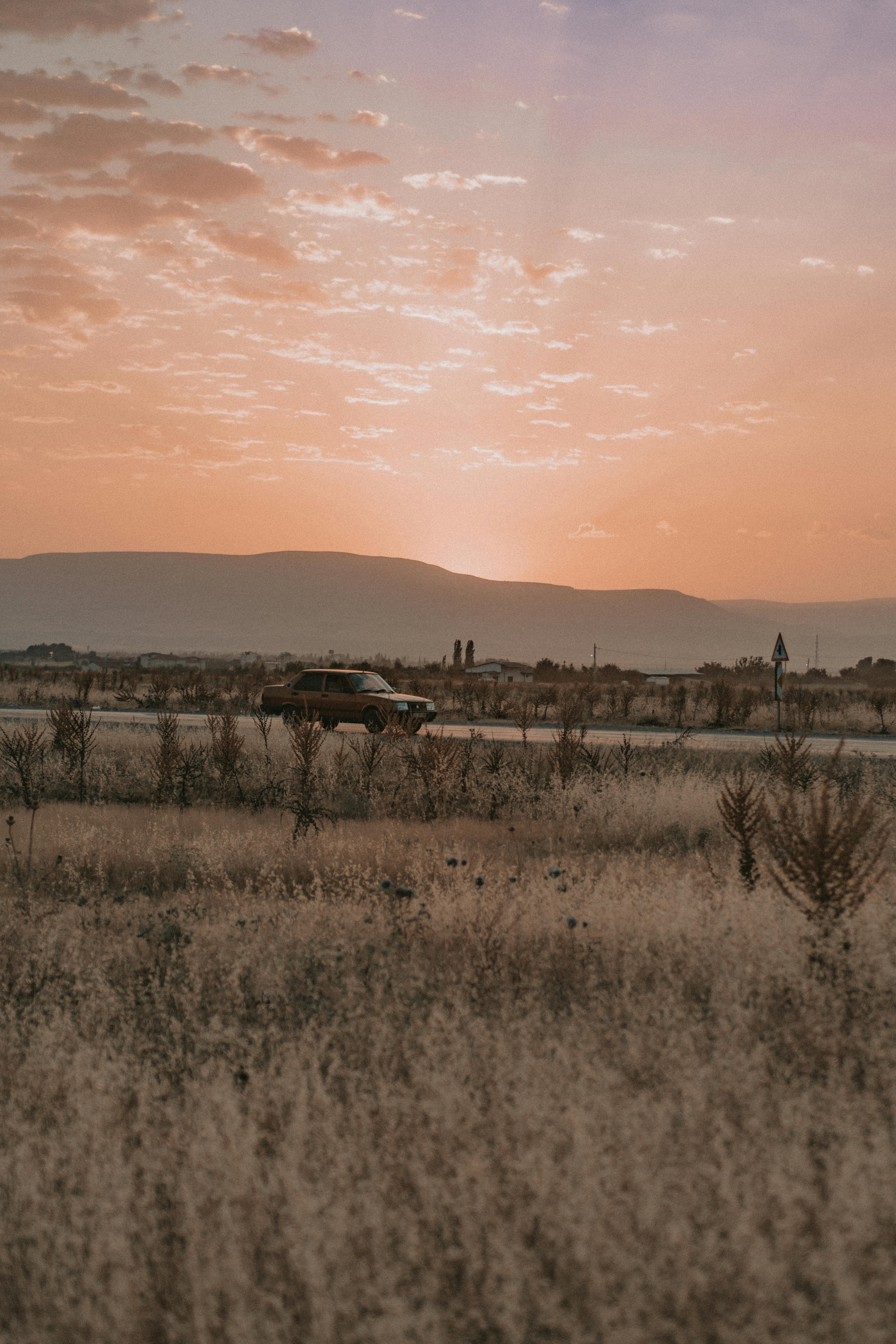 Golden Hour Photography of Grass Field · Free Stock Photo