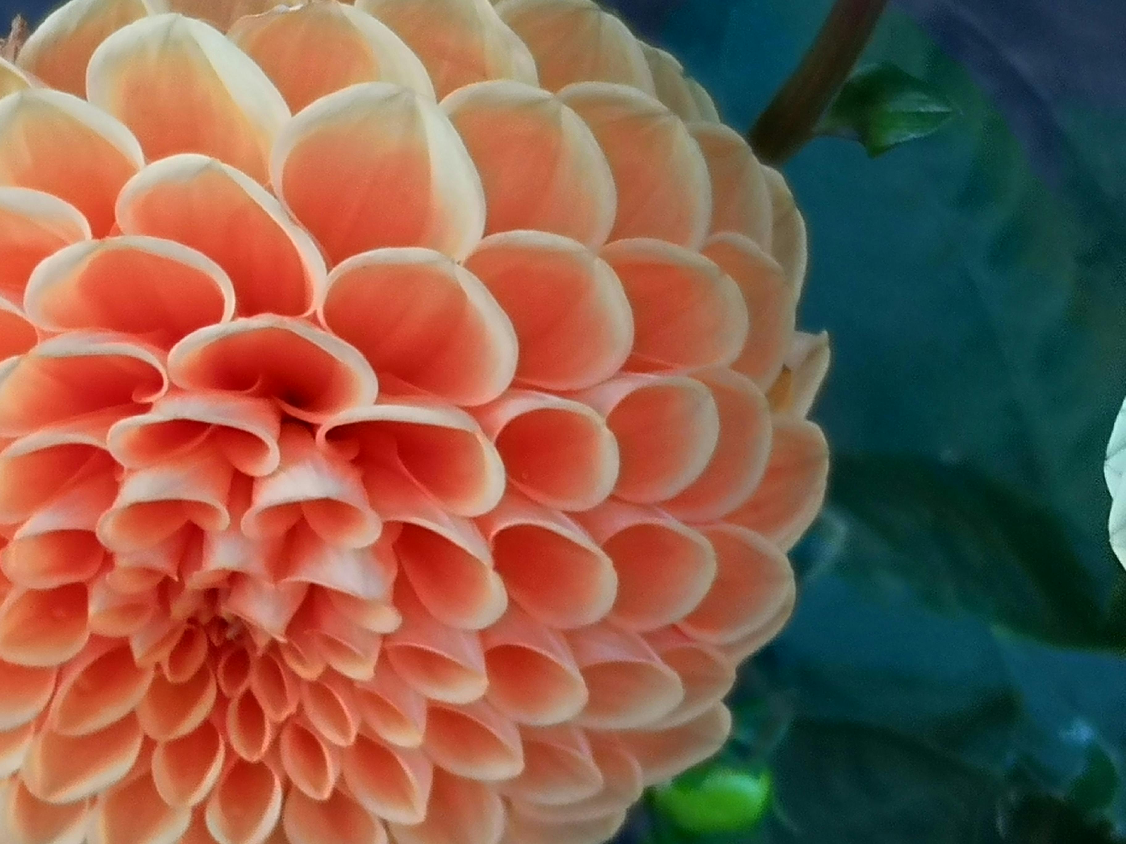 Vinnie Smith - Photography