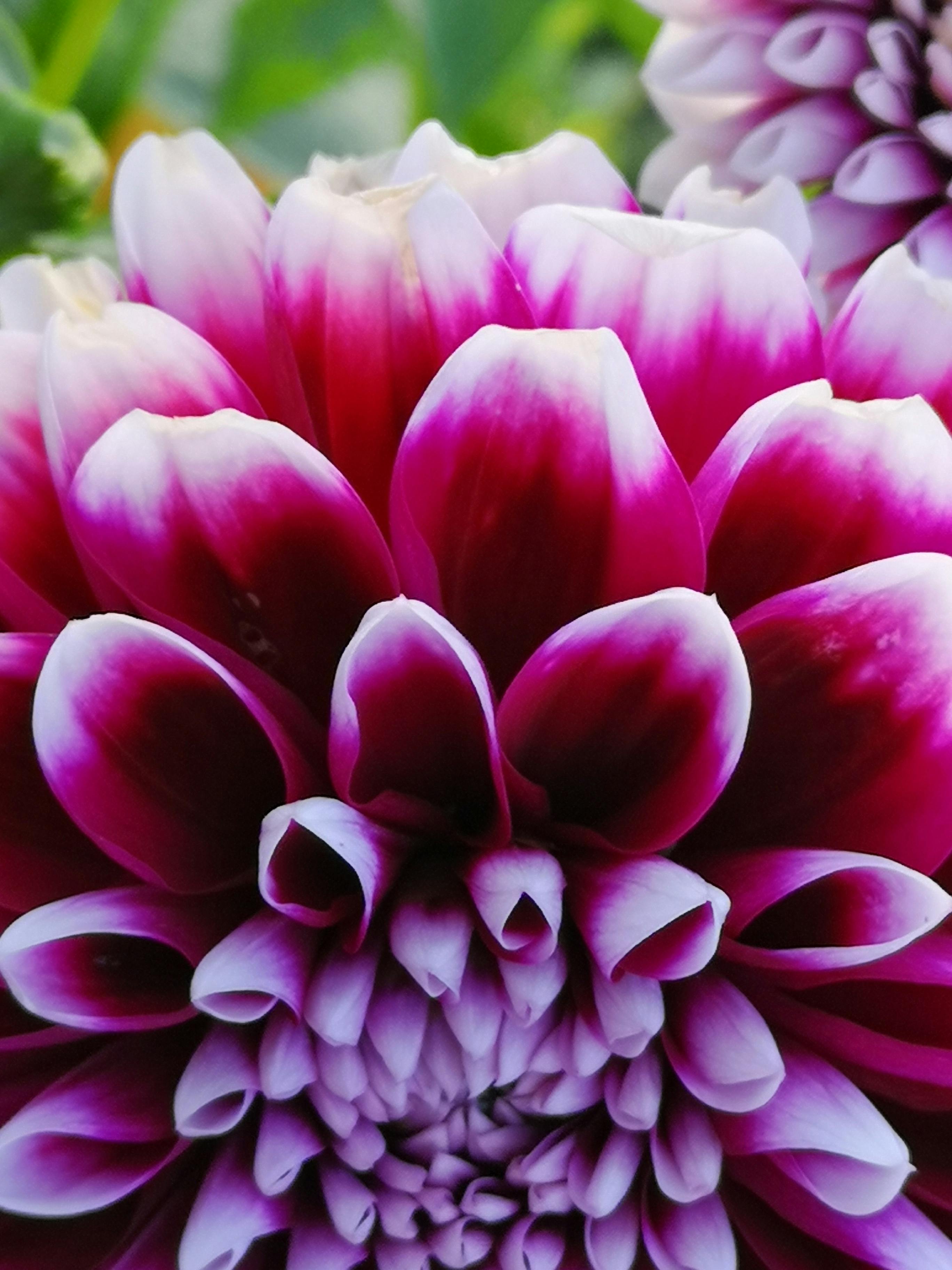 Vinnie Smith - Photography