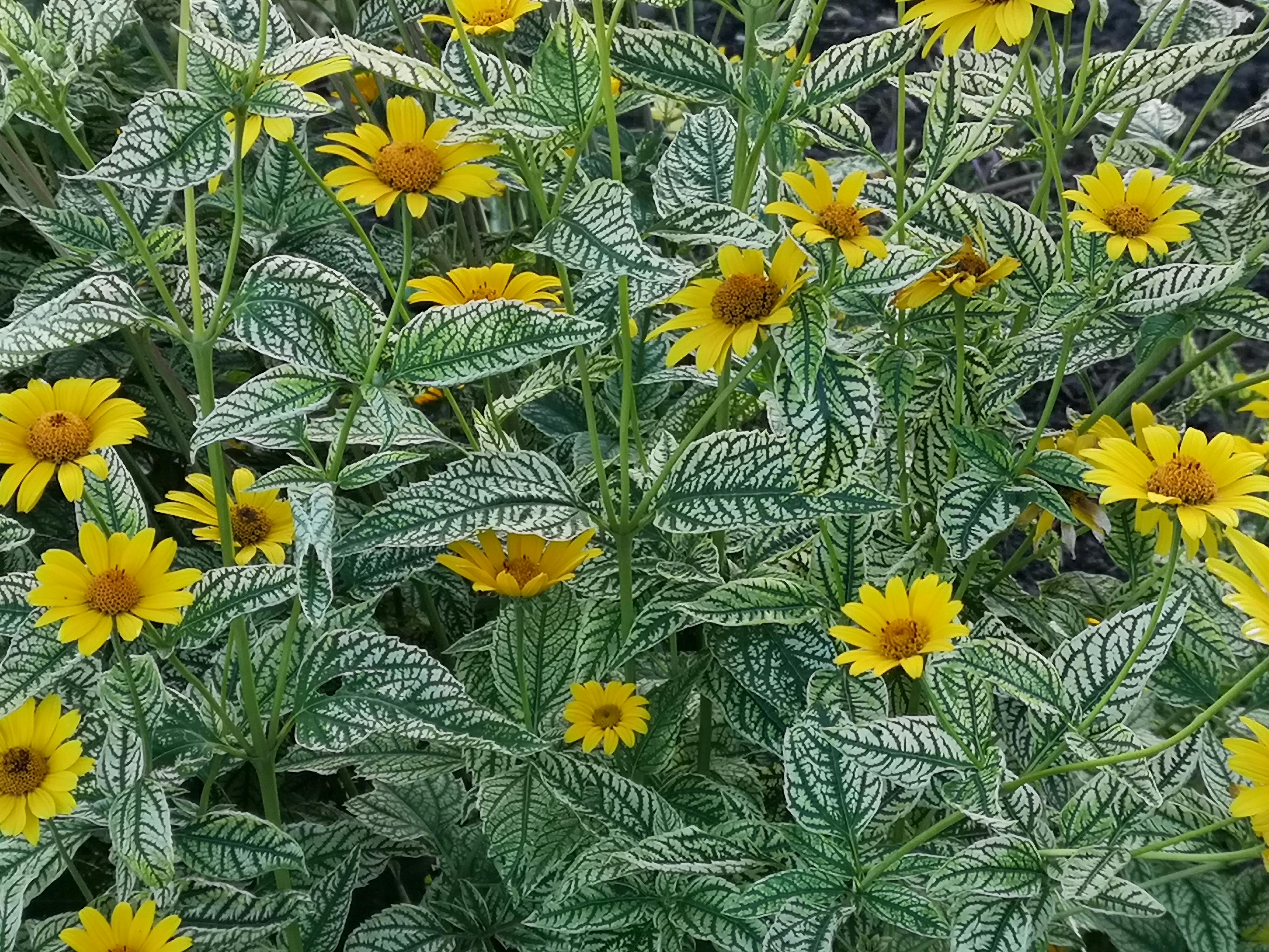 Vinnie Smith - Photography