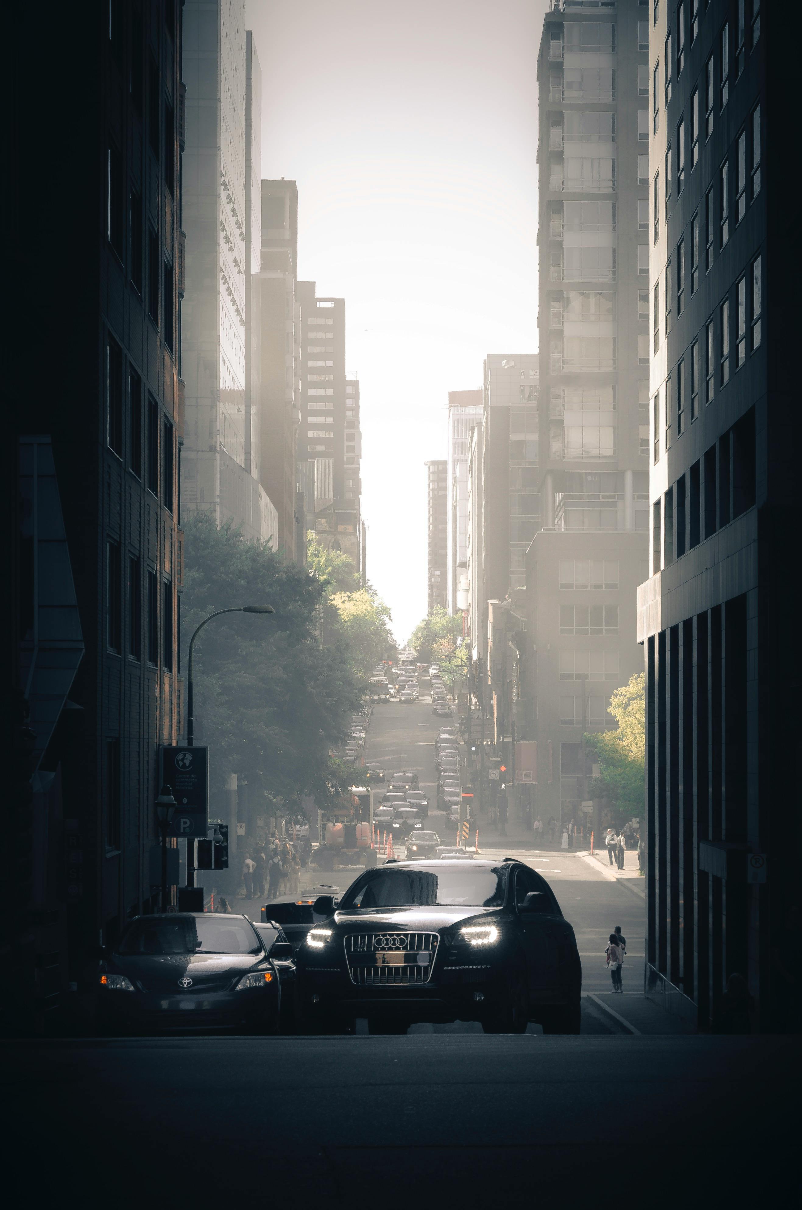 Cars on Road Between High Rise Buildings · Free Stock Photo