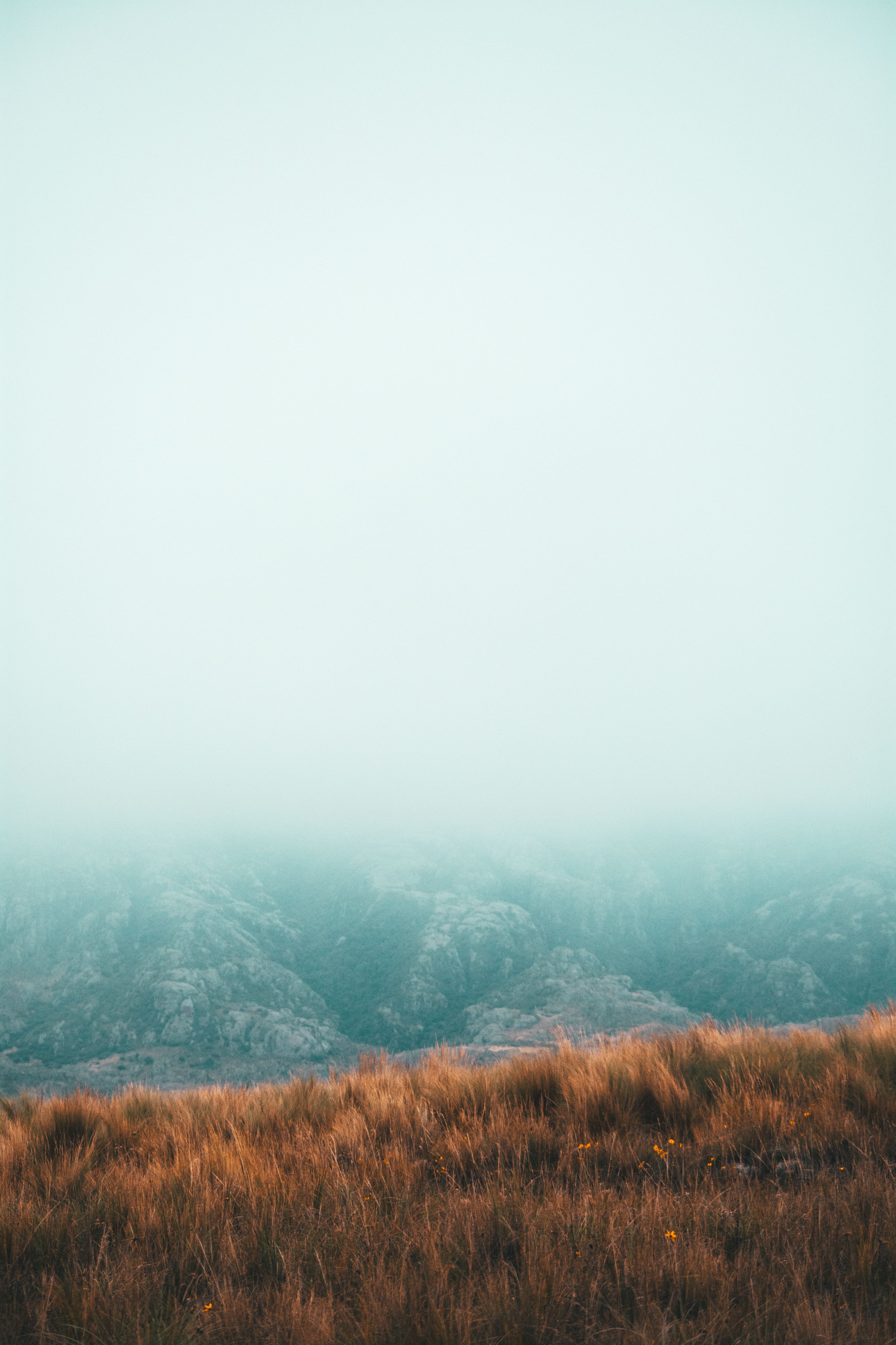 Grass Hills in Fog · Free Stock Photo