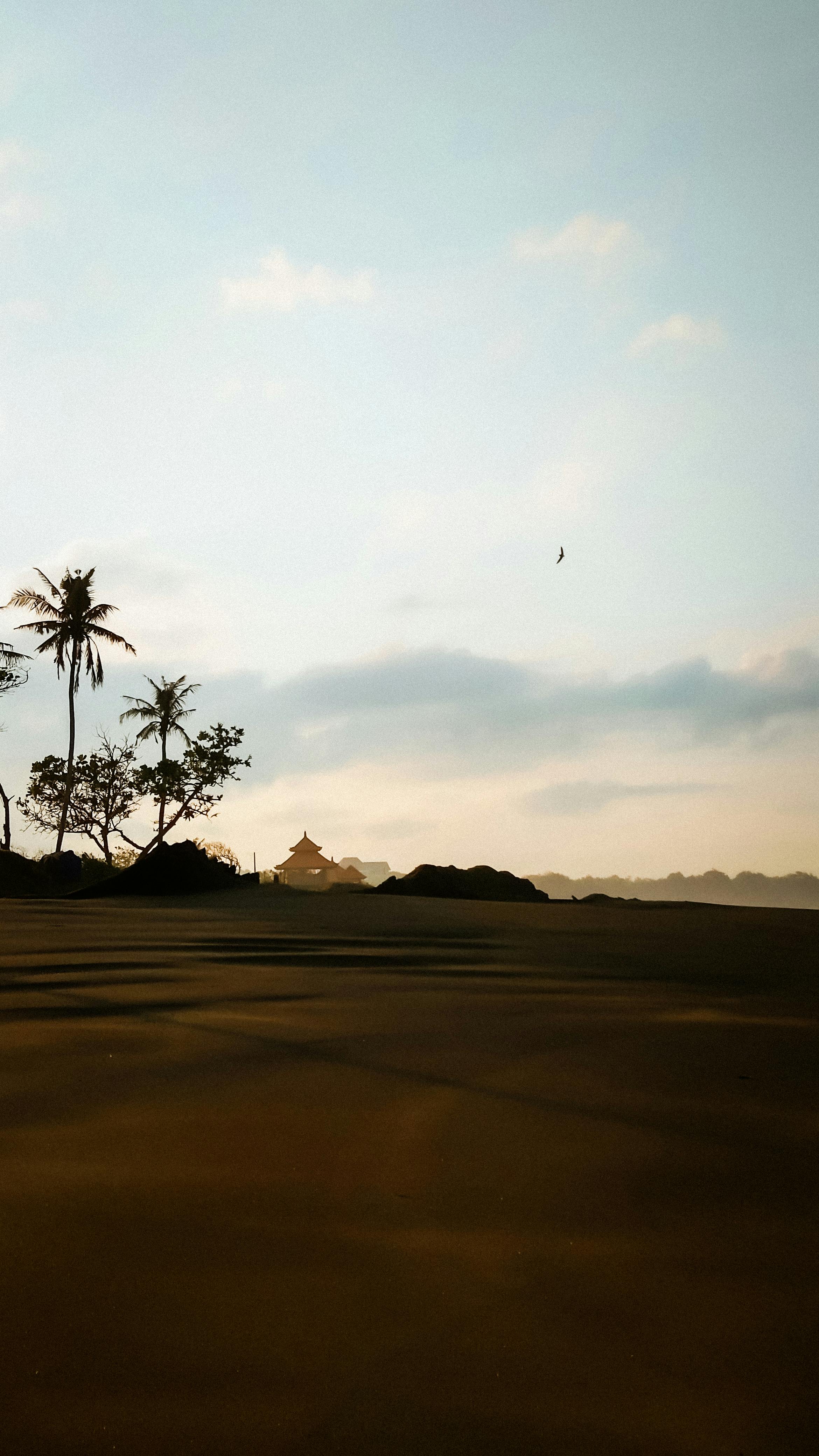 Palm Desert Sunset Photos, Download Free Palm Desert Sunset Stock ...