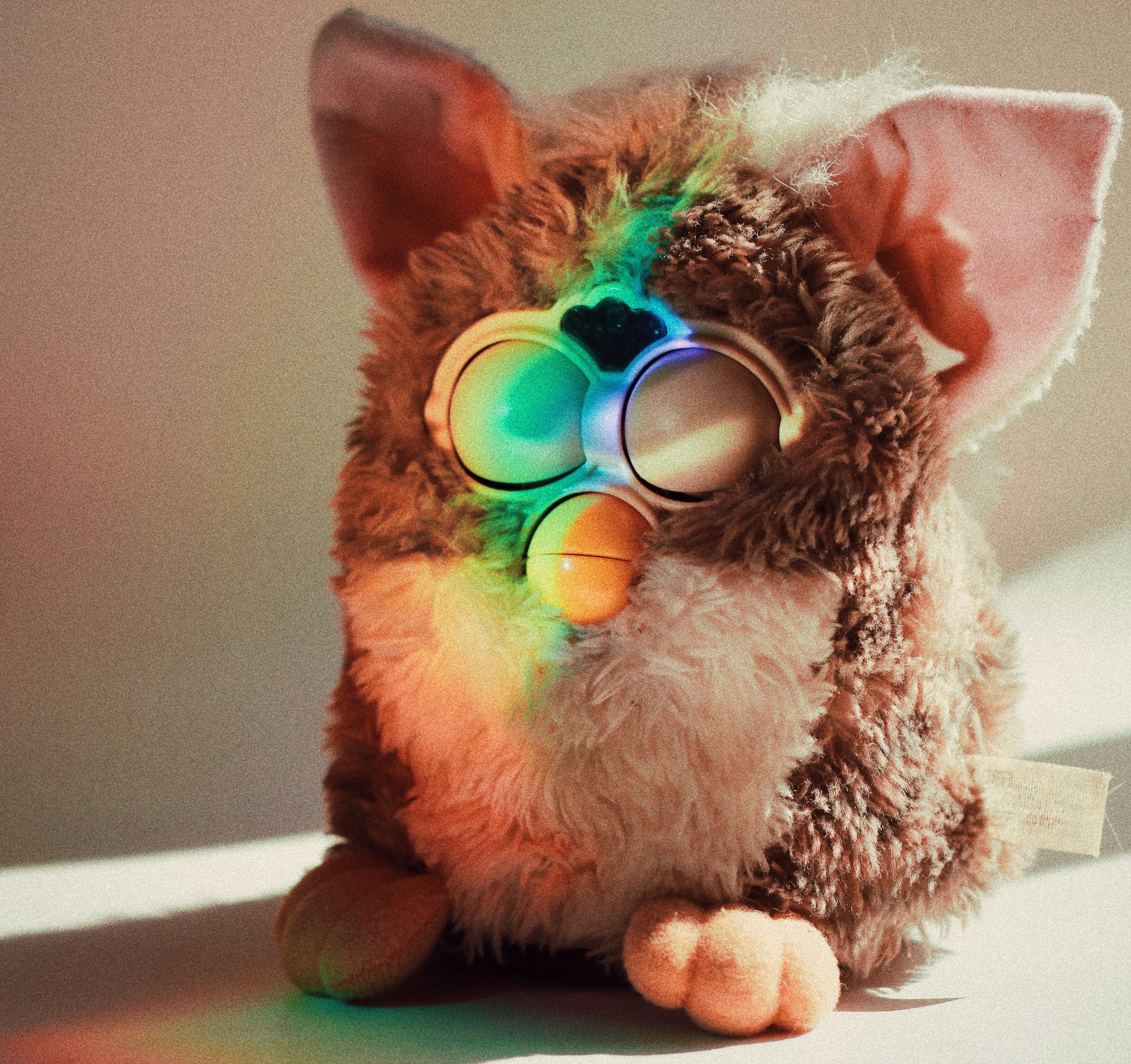 Furby Photos, Download The BEST Free Furby Stock Photos & HD Images