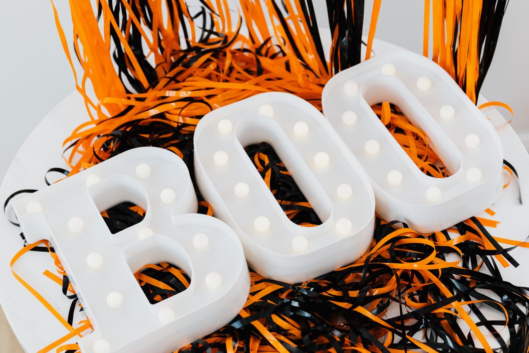 Boo (dog) - Beloved Pup's Life, Impact, and Enduring Legacy