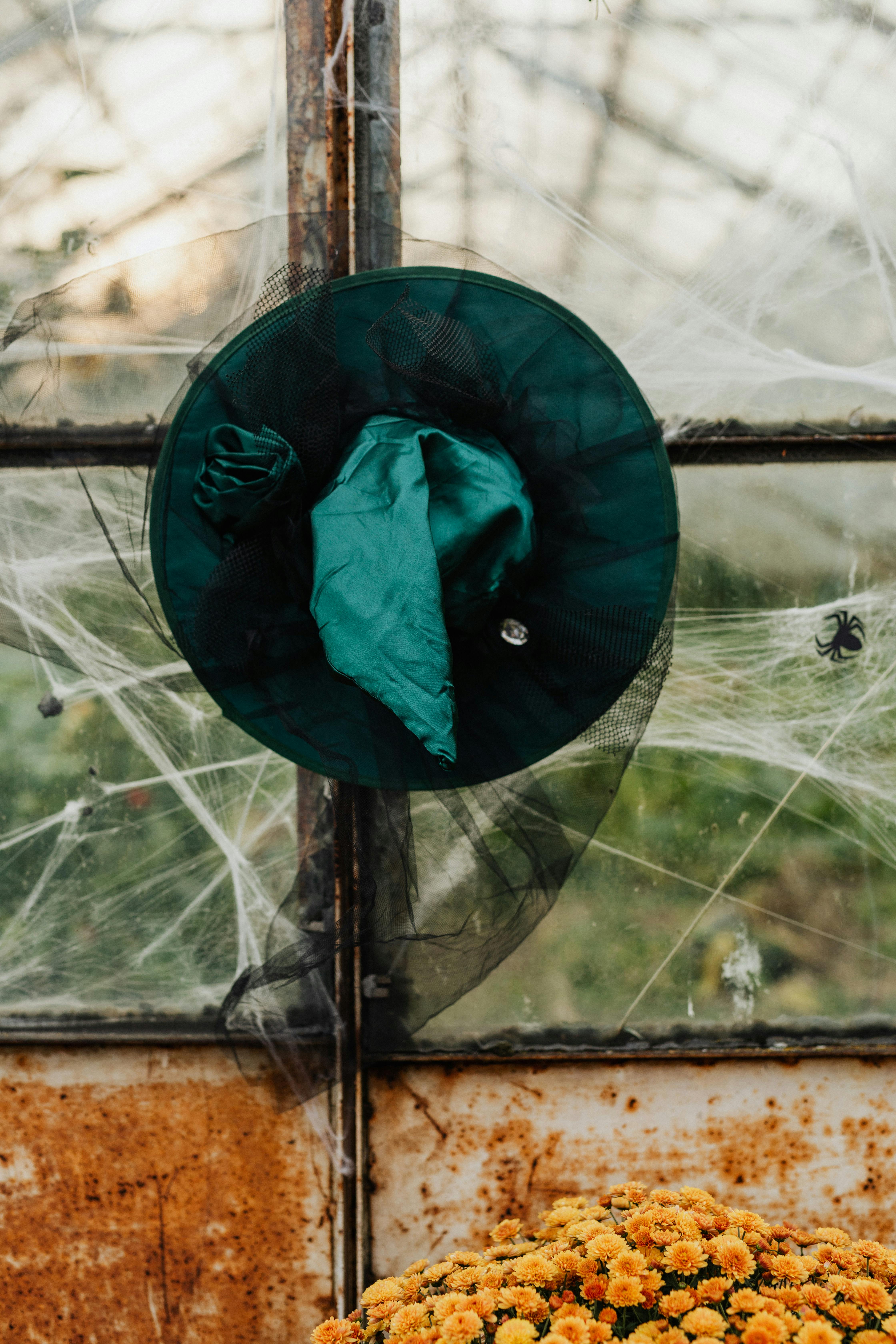 Spider Frame Photos, Download The BEST Free Spider Frame Stock Photos ...