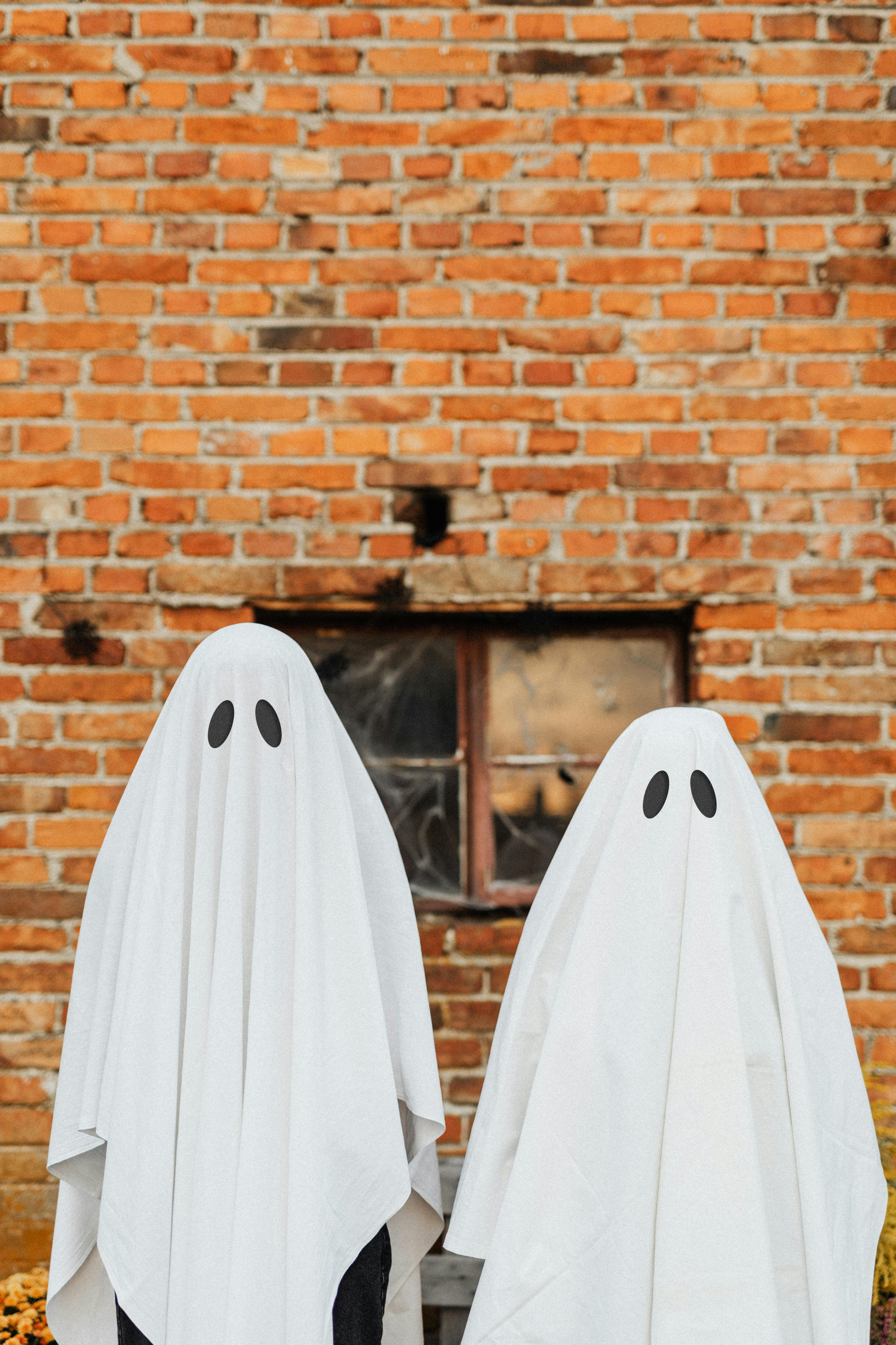 Boo Photos, Download The BEST Free Boo Stock Photos & HD Images