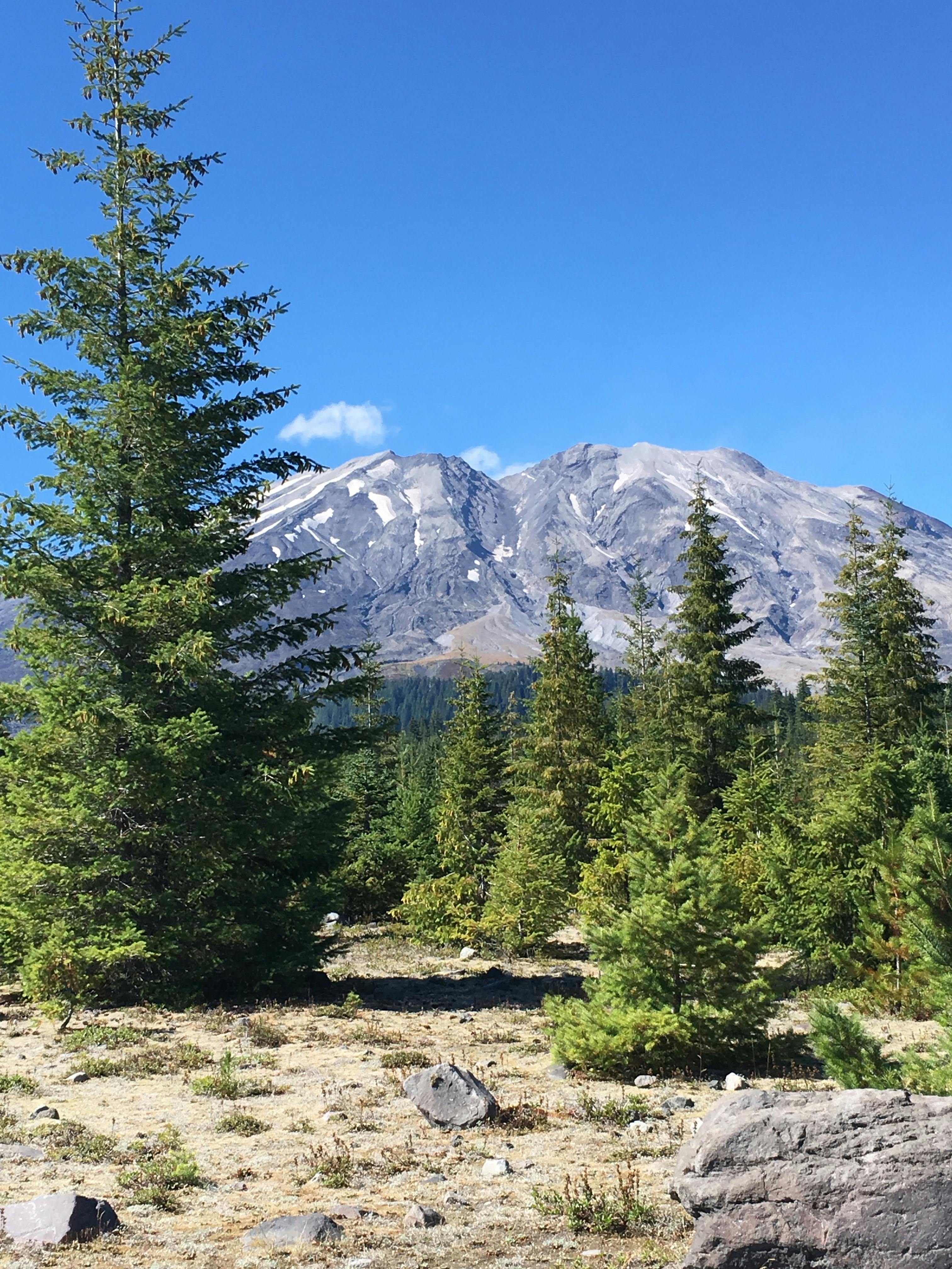 Jessica Courtney - Photography