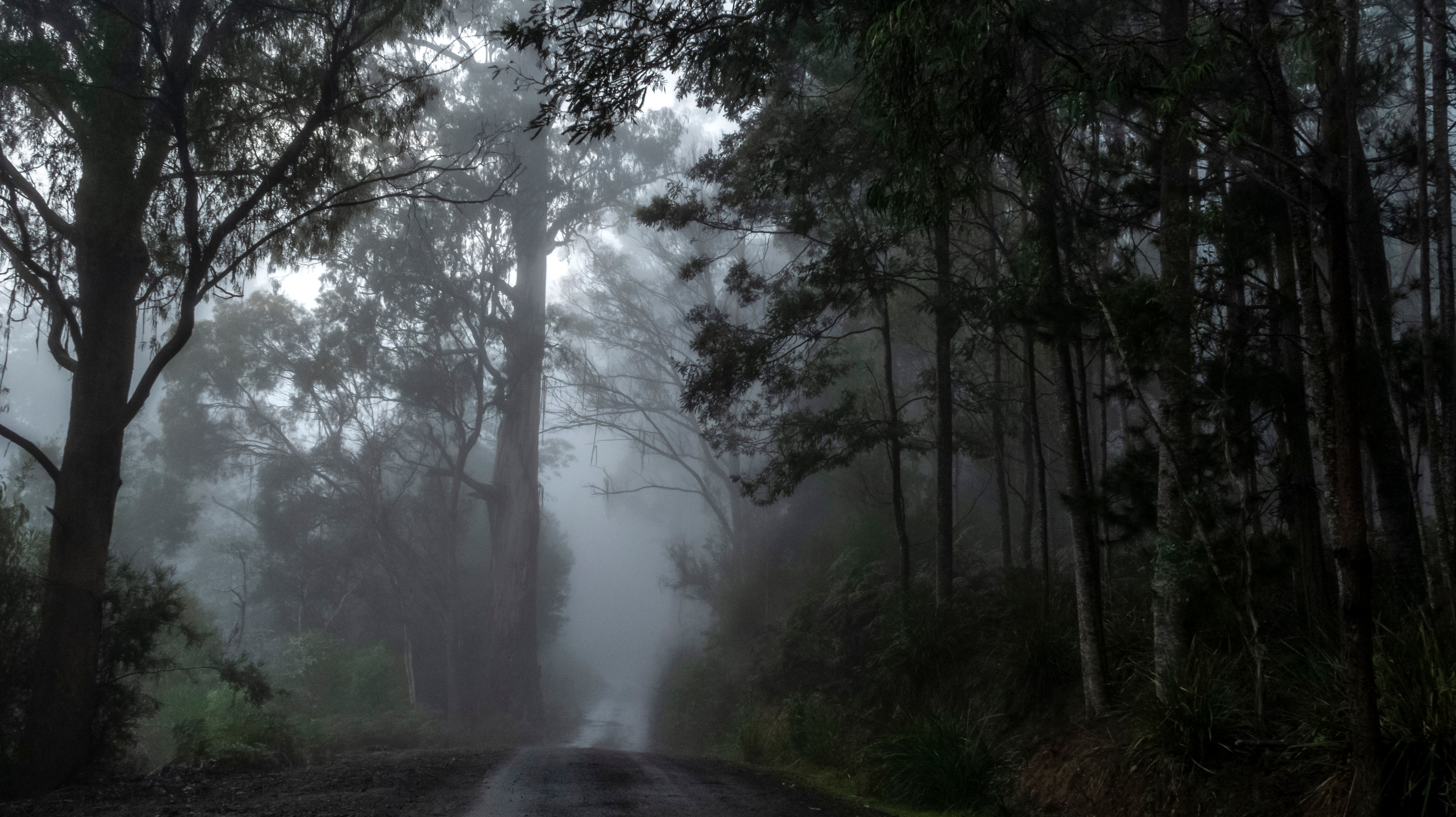 Christine Booth - Photography