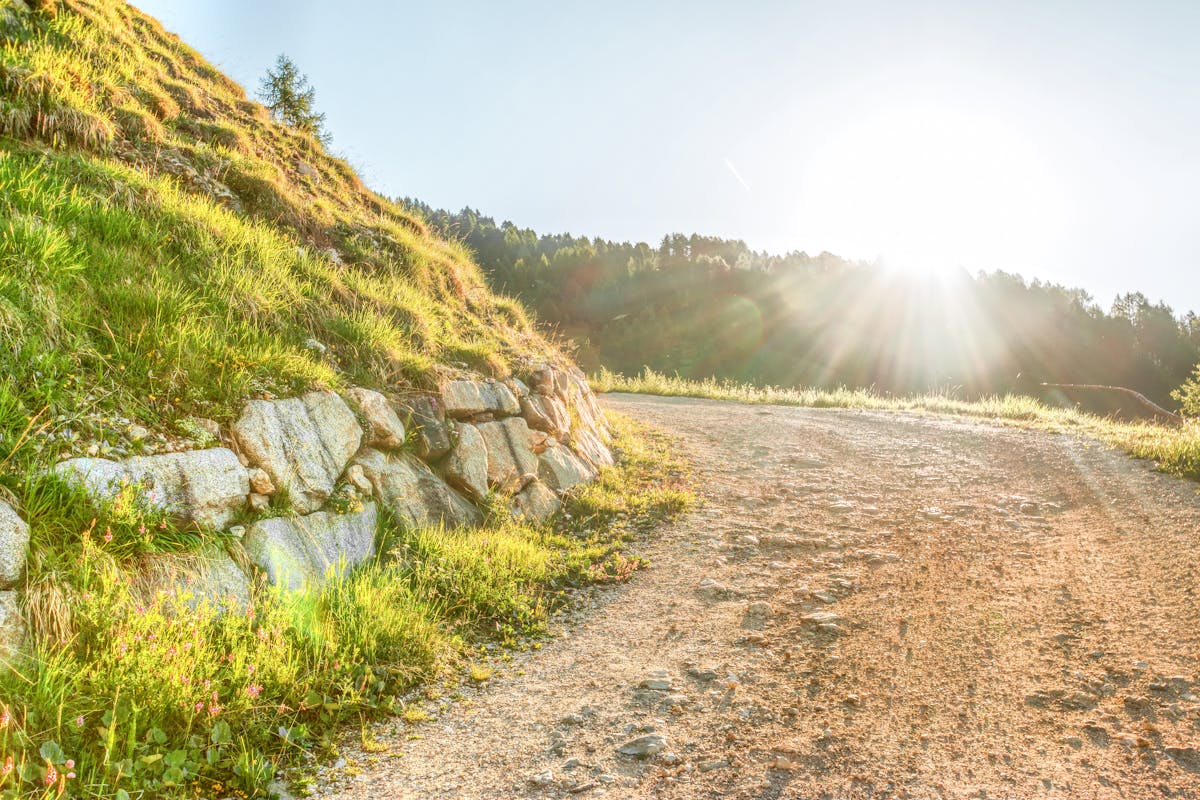 Morning Sun Photos, Download The BEST Free Morning Sun Stock Photos ...