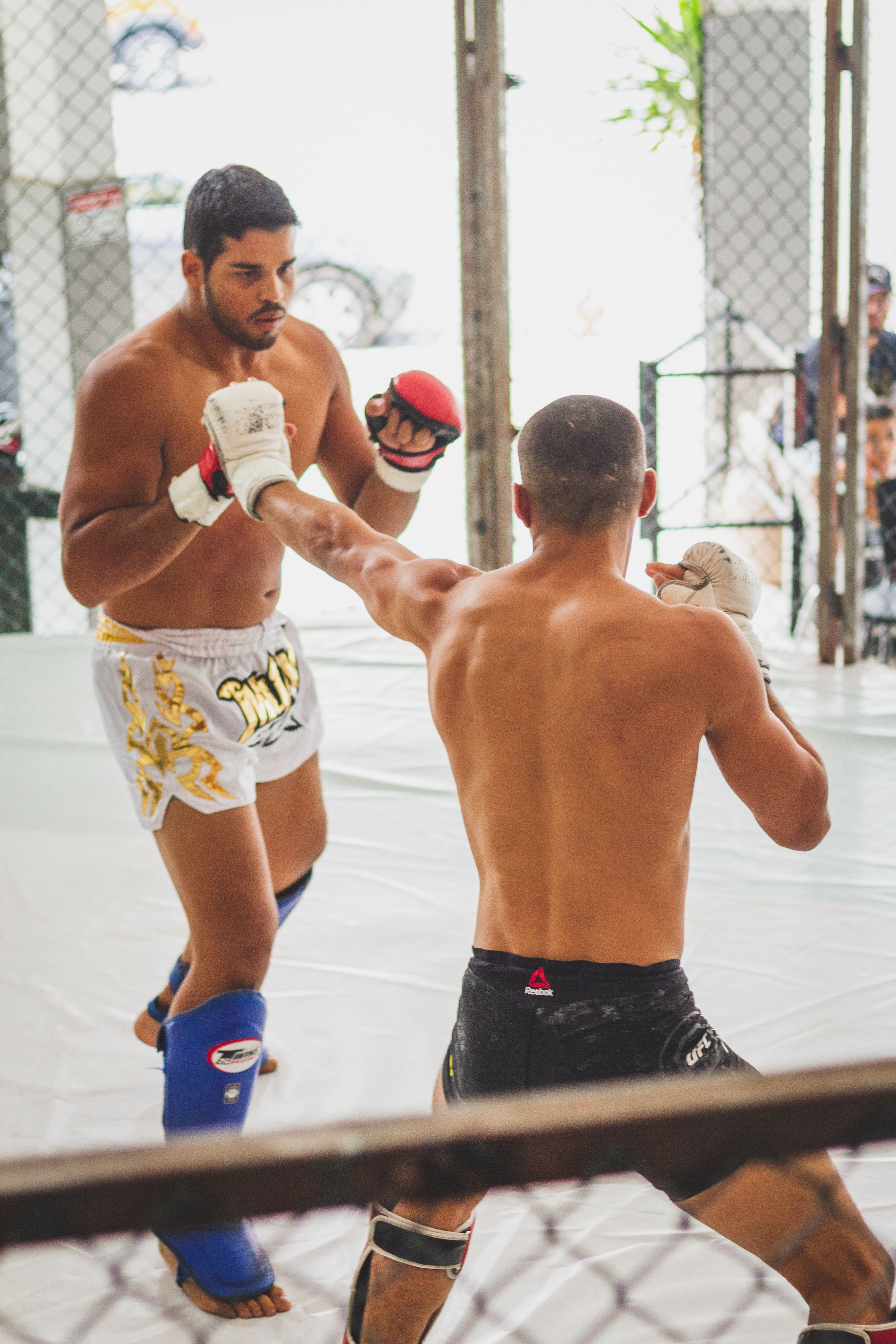 Men Fighting in the Boxing Ring · Free Stock Photo