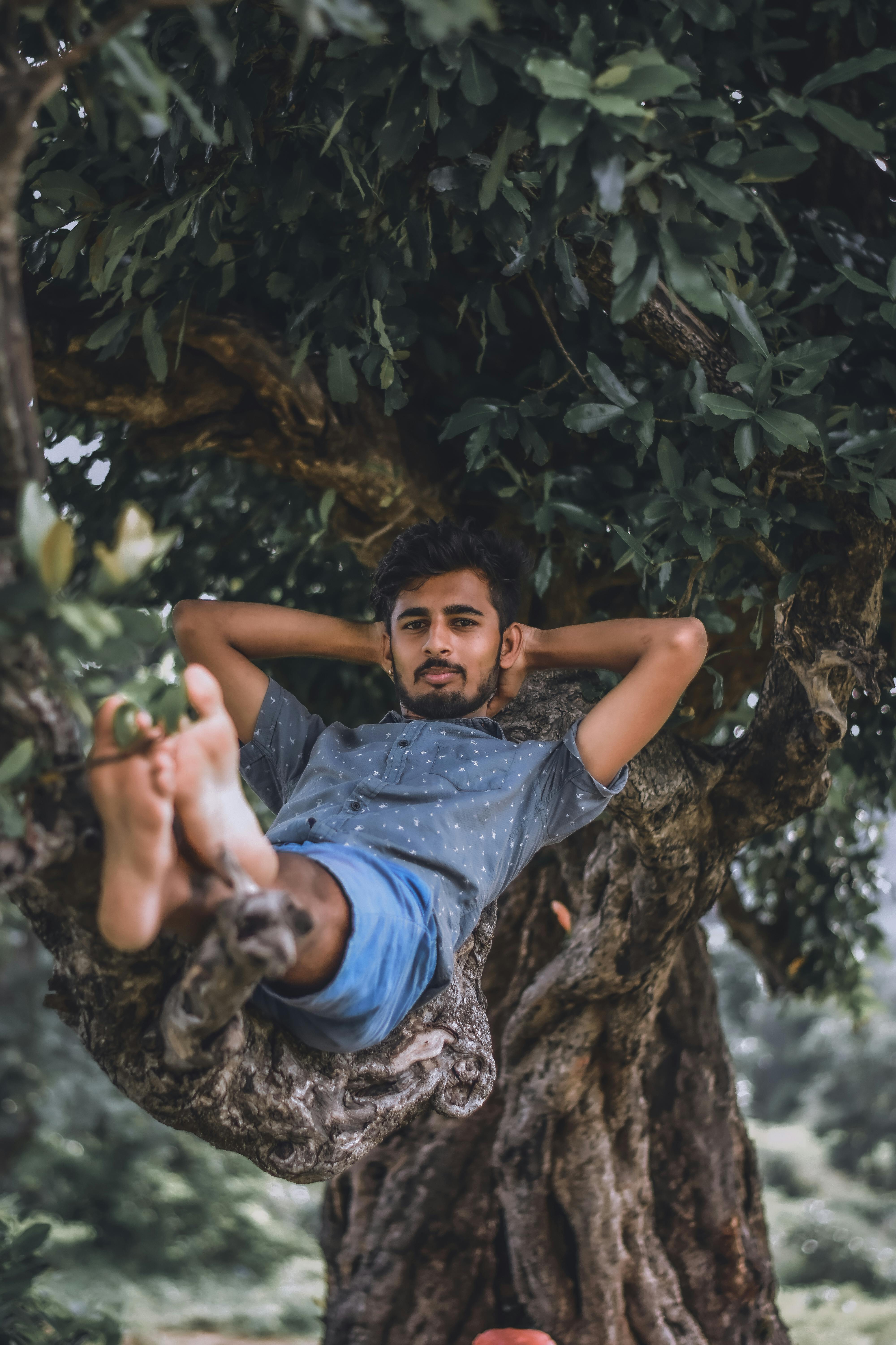 Person Lying Under A Tree Photos, Download The BEST Free Person Lying ...