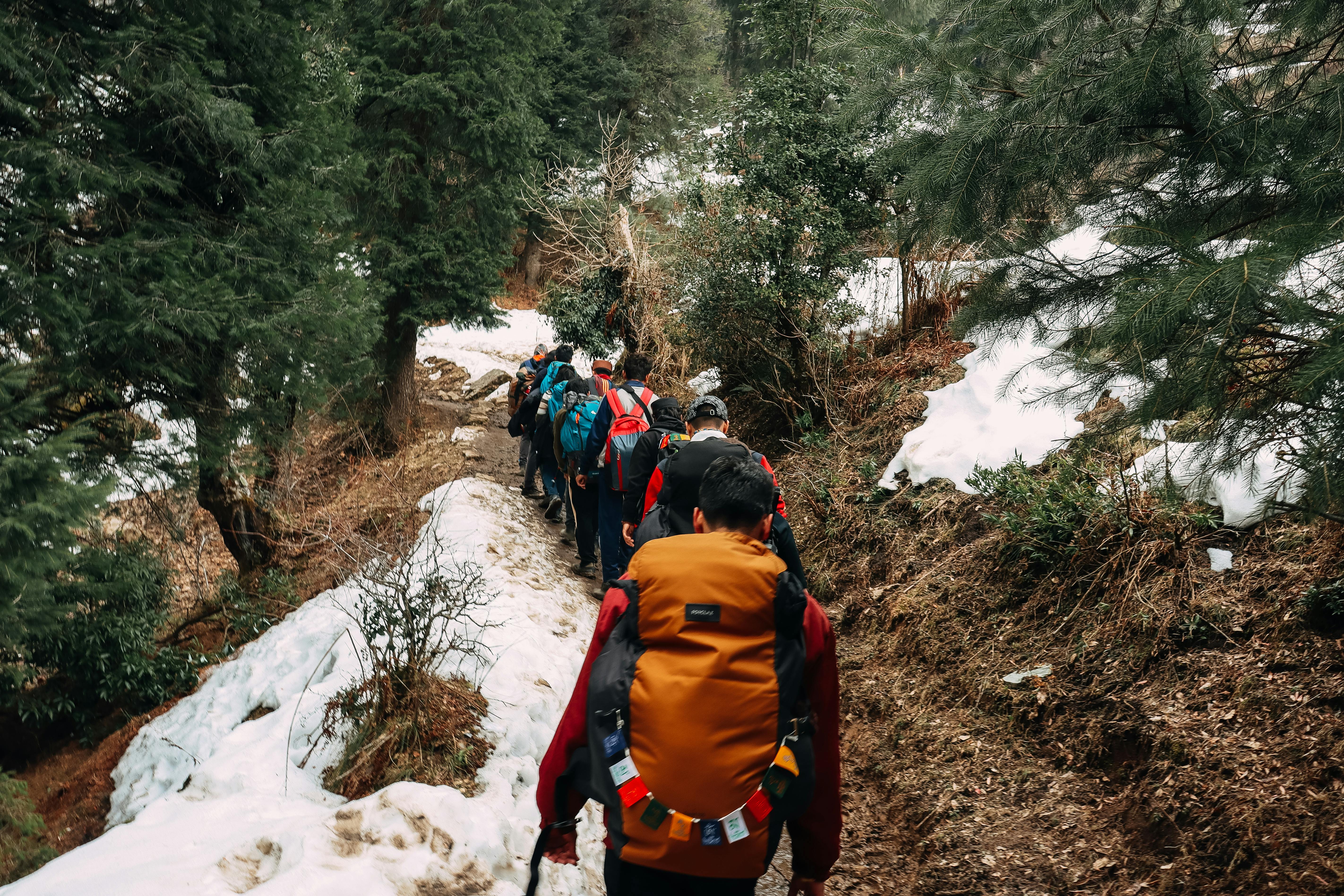 Row of Backpackers Hiking in Mountains · Free Stock Photo