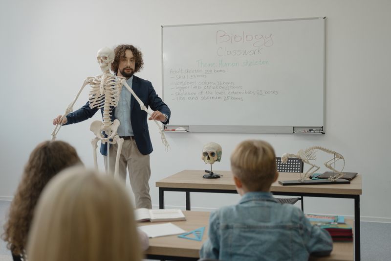 Teachers Photos, Download The BEST Free Teachers Stock Photos & HD Images