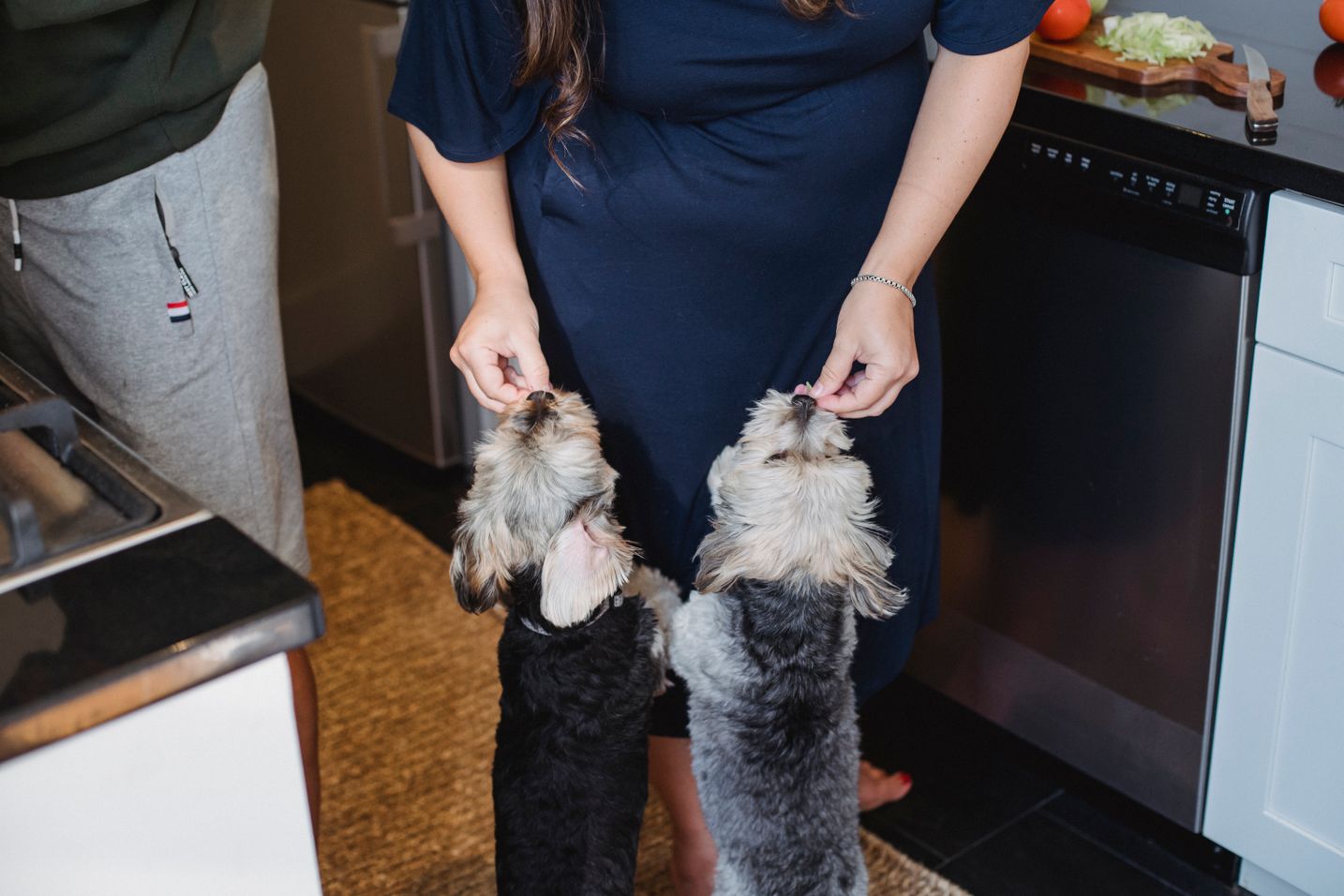How Do Dogs Digest Food Efficiently in Their Unique System