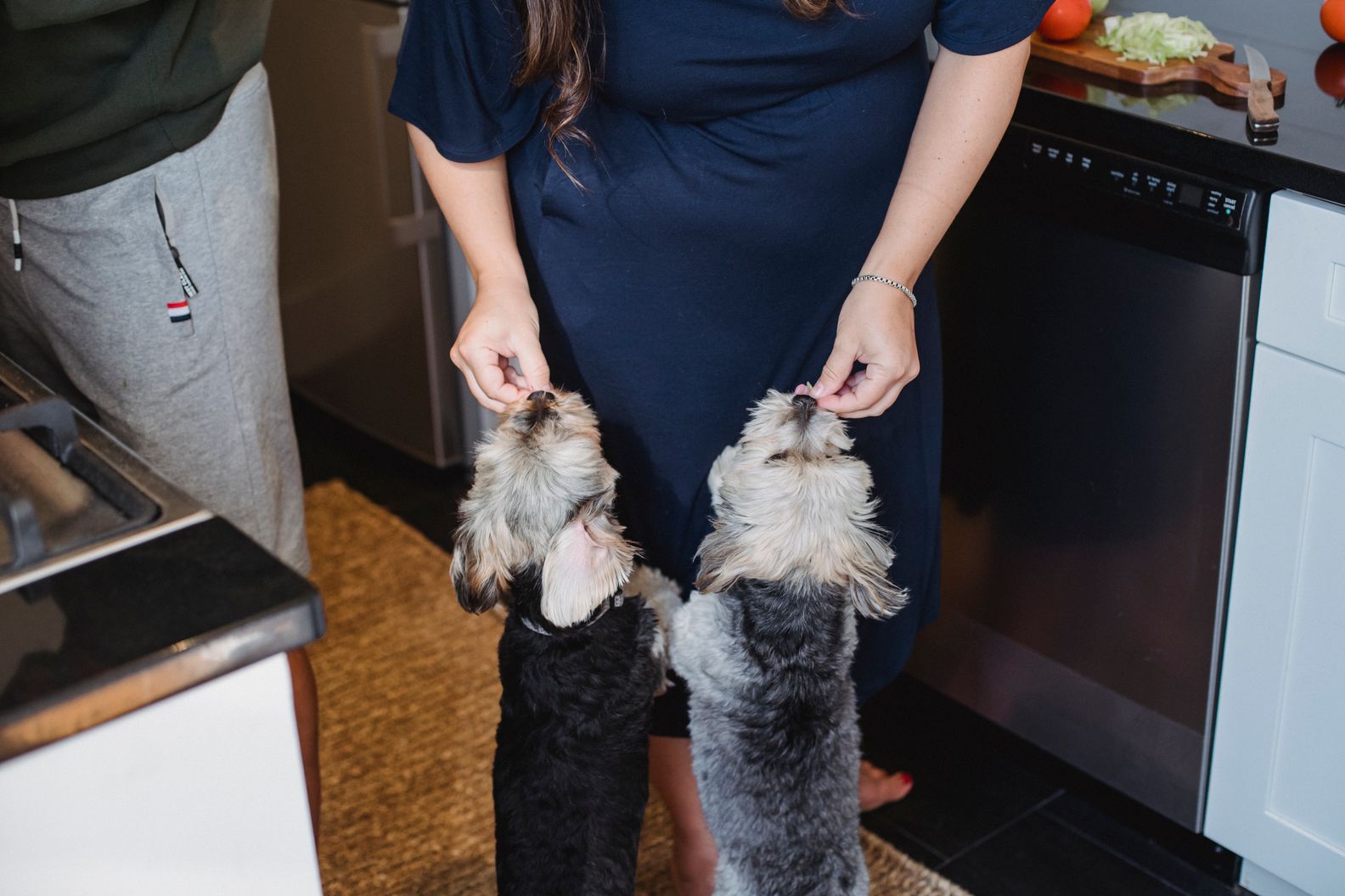 How Do Dogs Digest Food Efficiently in Their Unique System