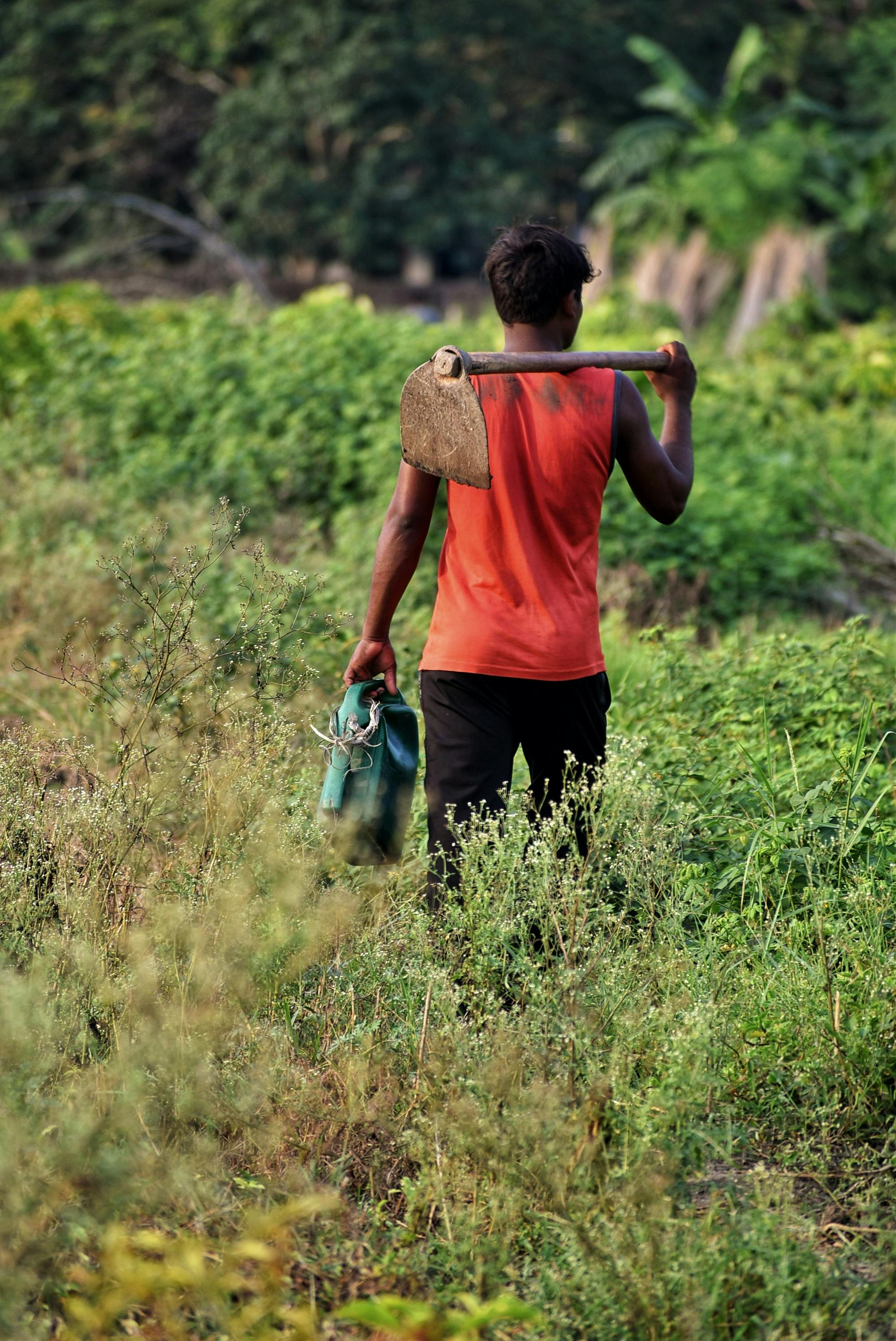 Photo of a Farmer Working · Free Stock Photo