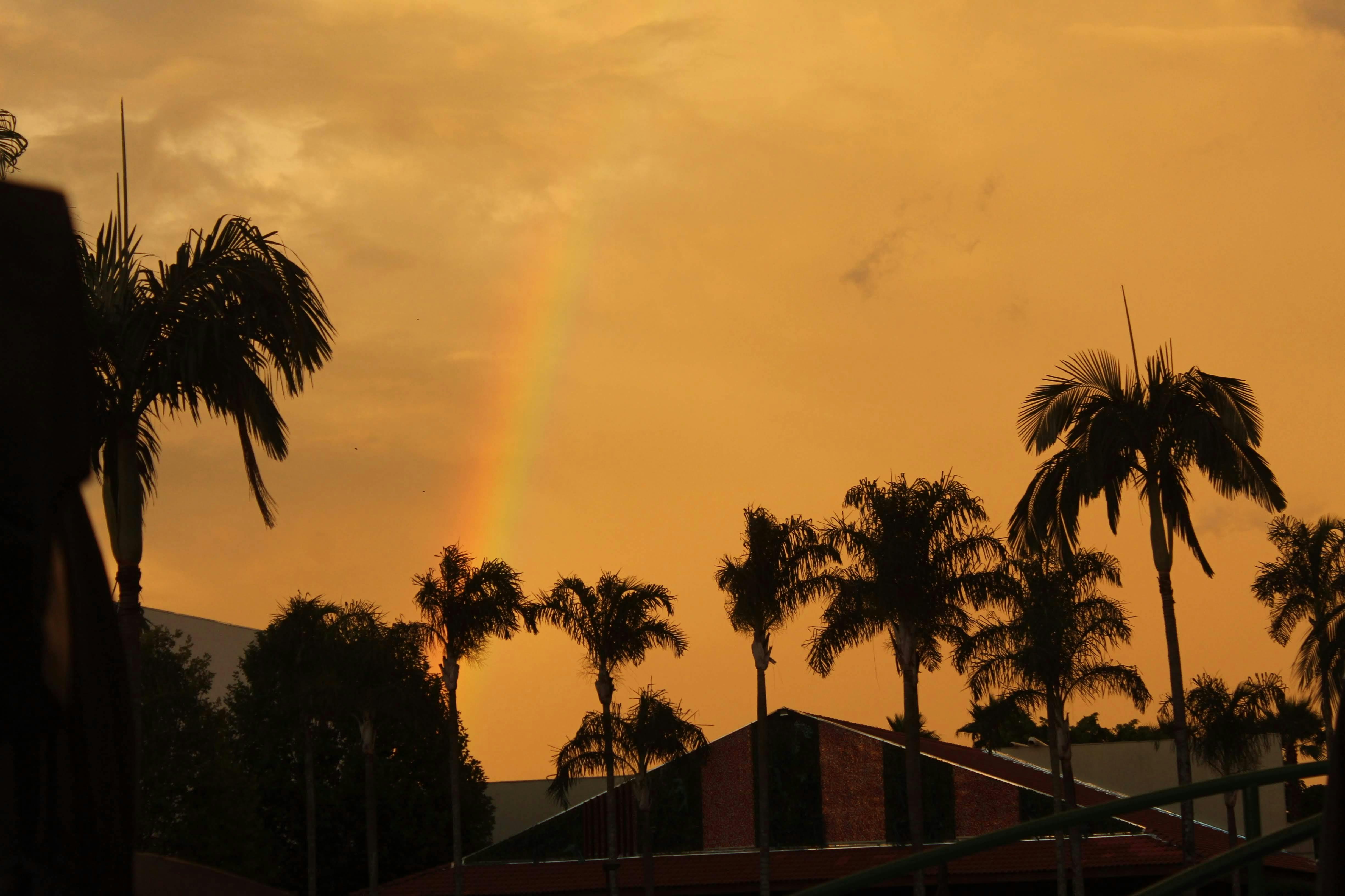 Ingrid Gomes - 사진