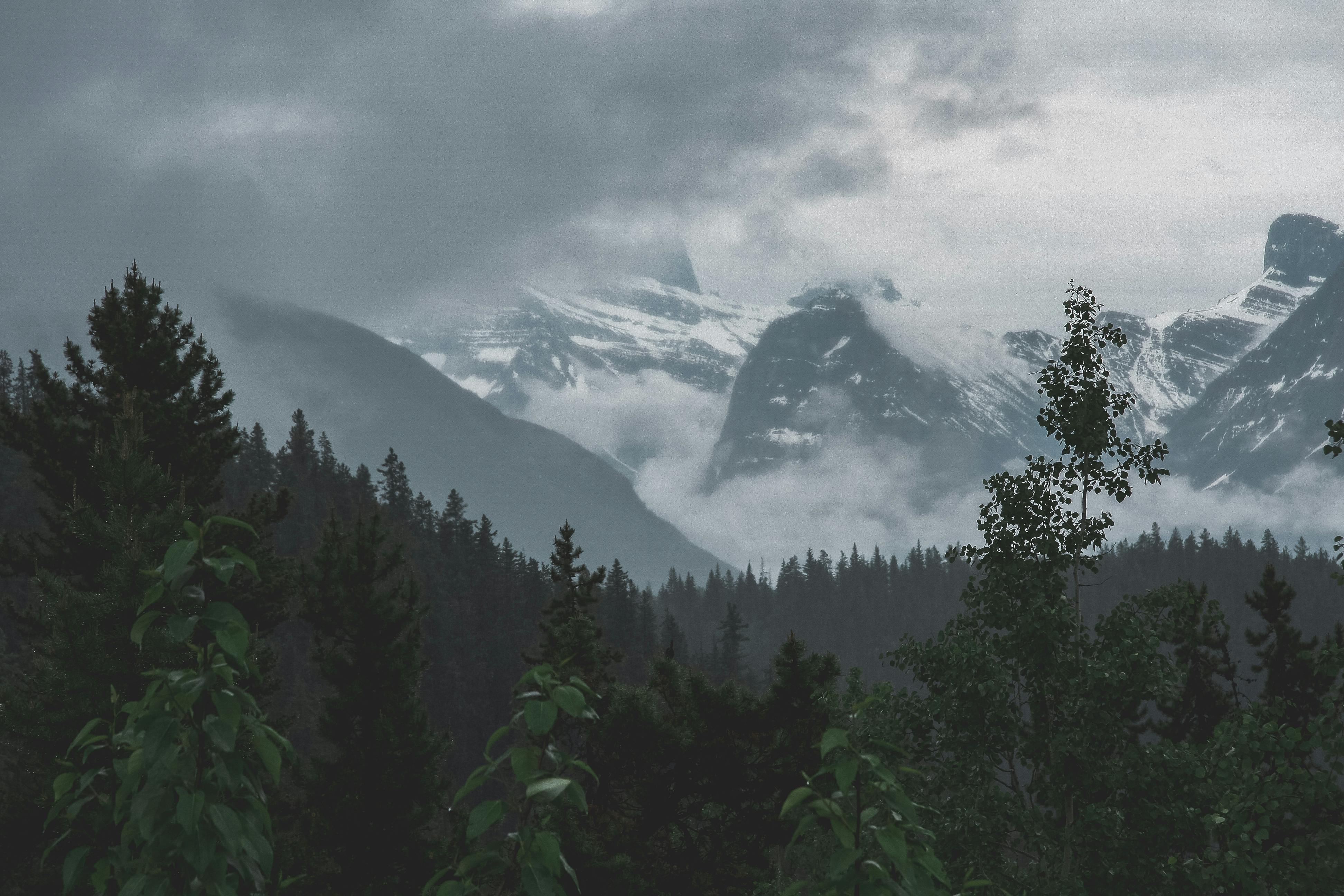 Fog over Snow Covered Mountains behind a Forest · Free Stock Photo