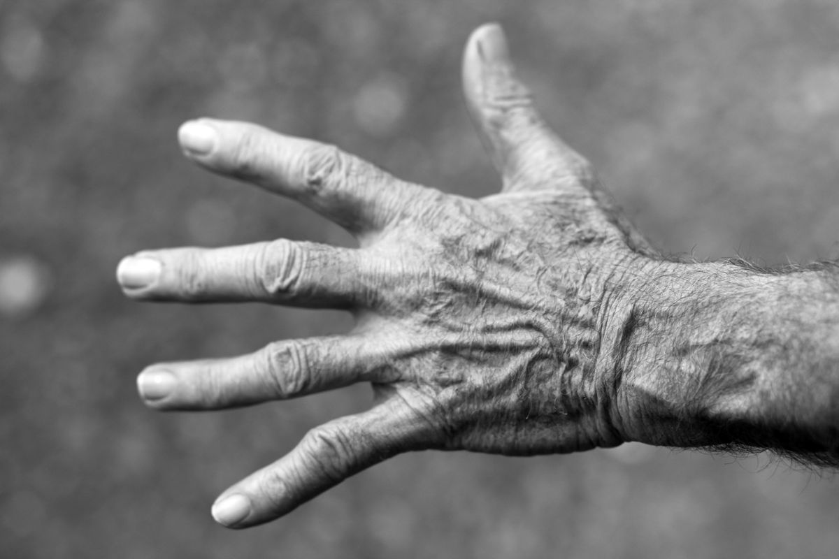 Old Hands Photos, Download The BEST Free Old Hands Stock Photos & HD Images
