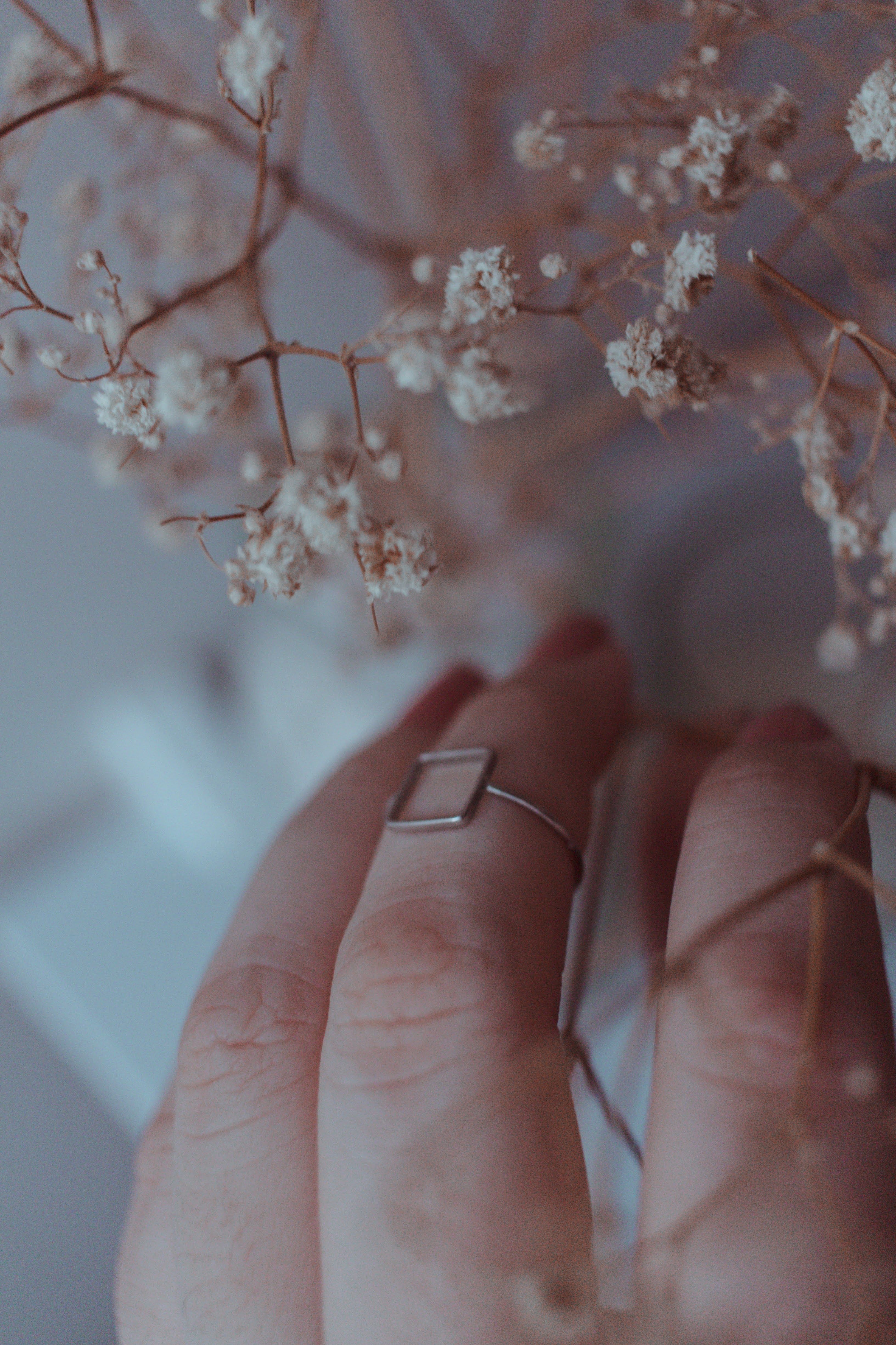 Ring and Branches around Fingers · Free Stock Photo