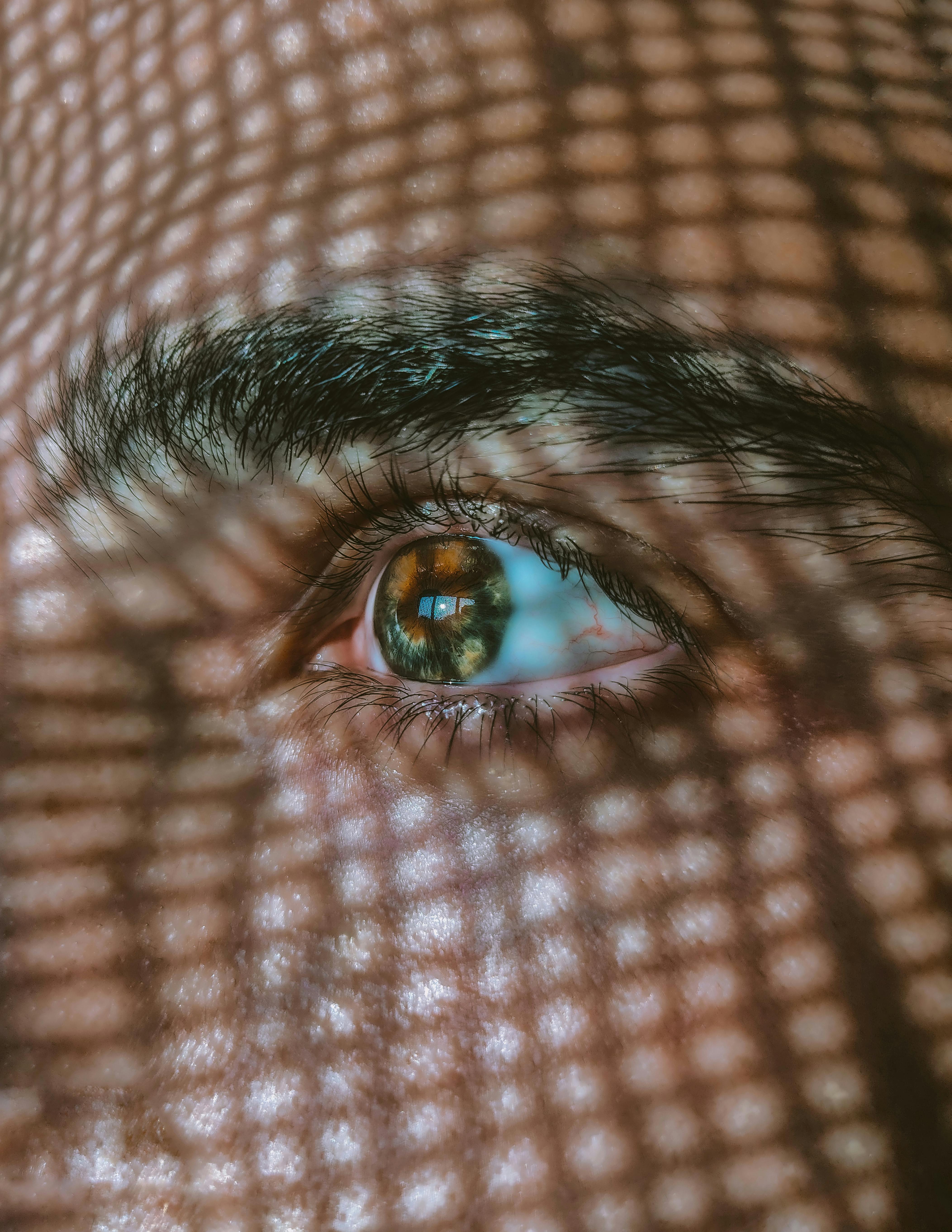 Extreme Close-up Photo of an Eye · Free Stock Photo
