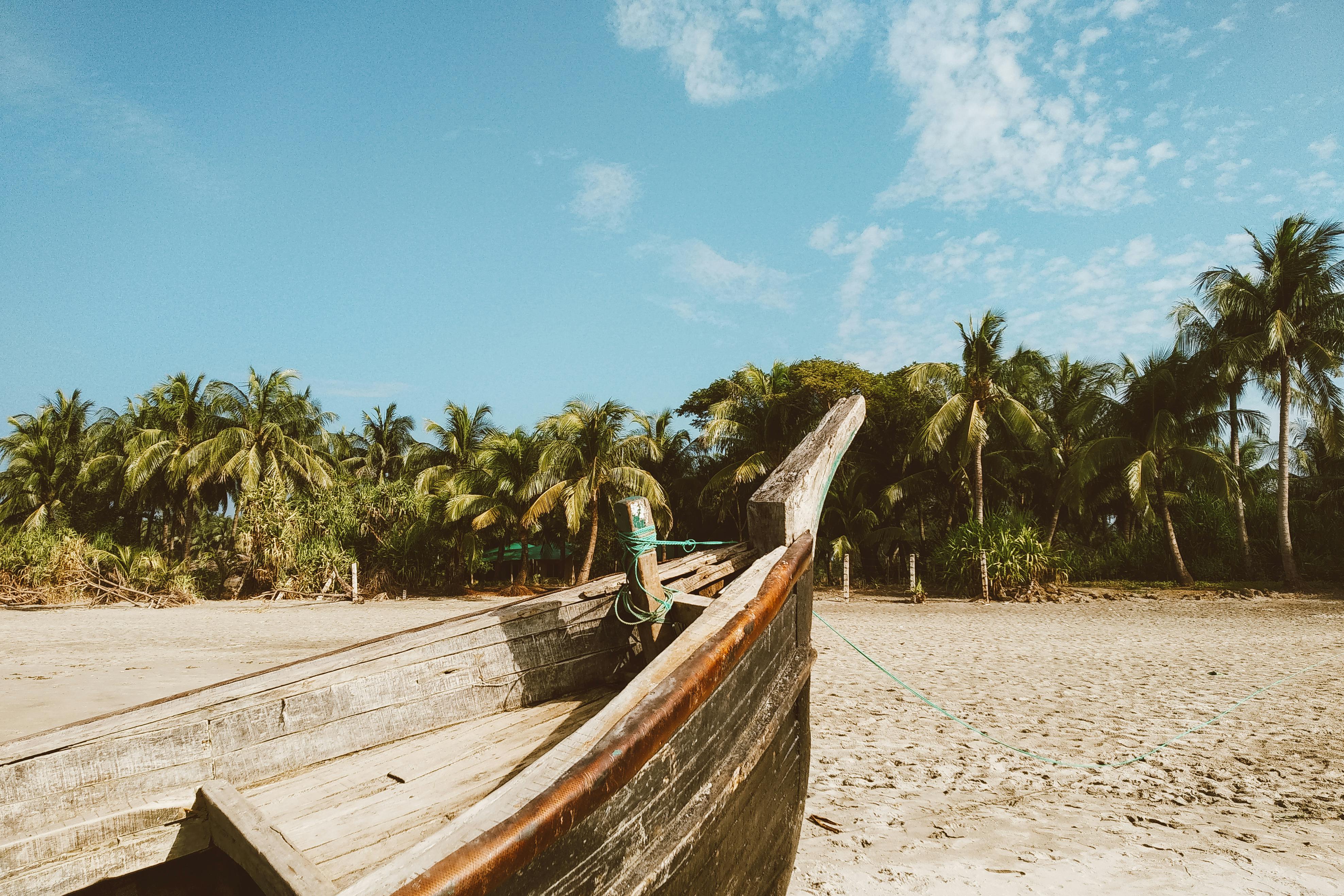 Mamunur Rashid - Photography