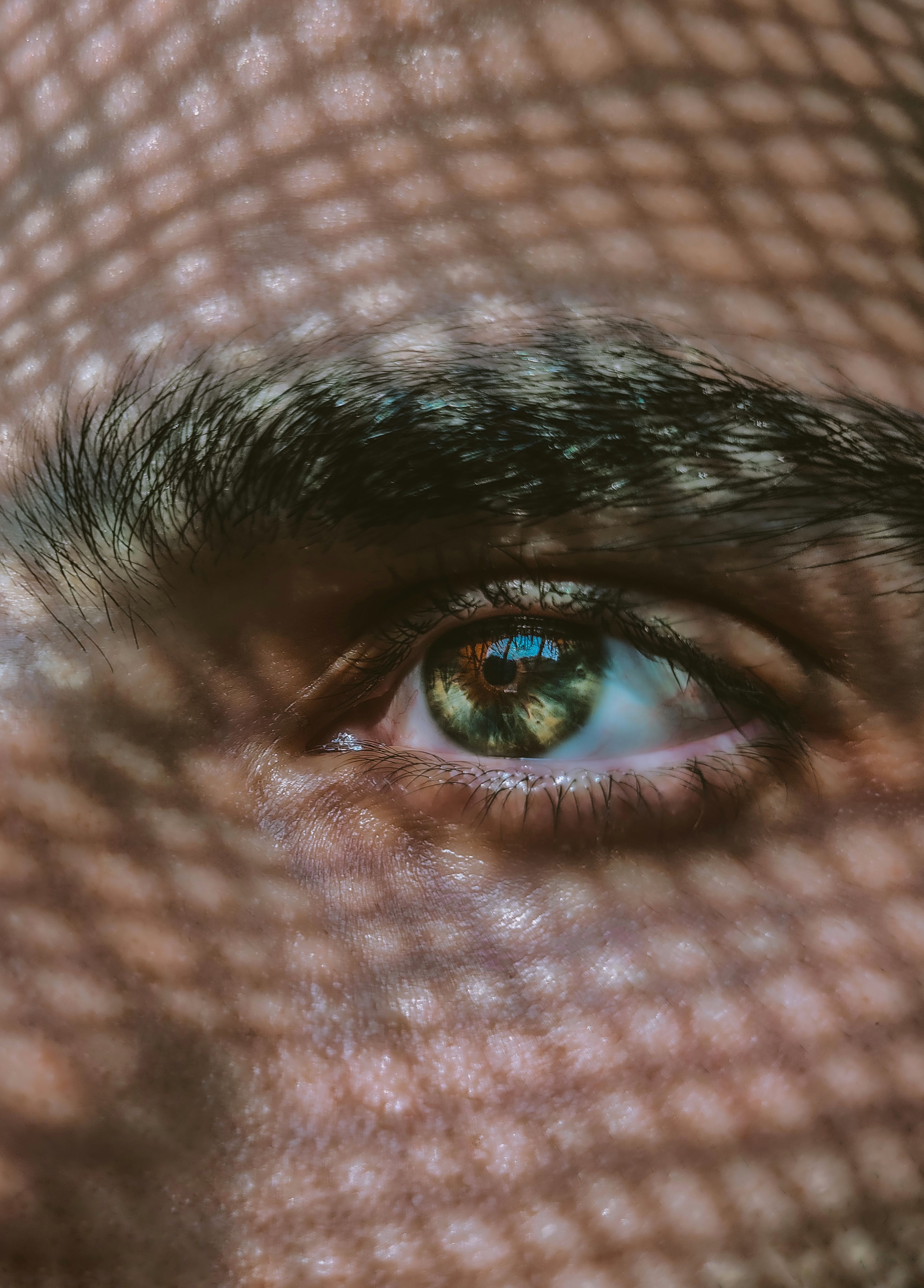Close Up Photo of Woman's Eye · Free Stock Photo