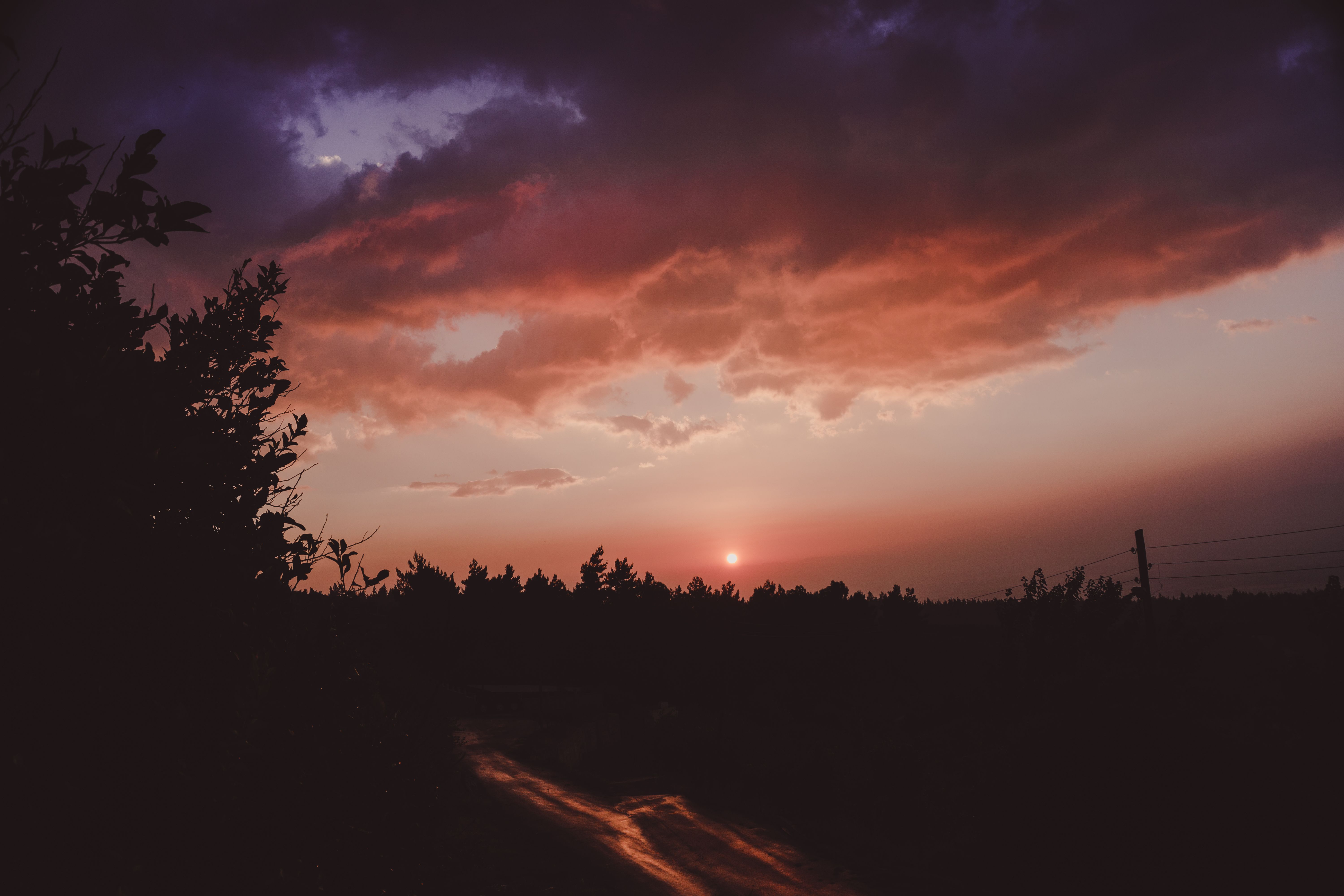 Abstract Outdoor Photography