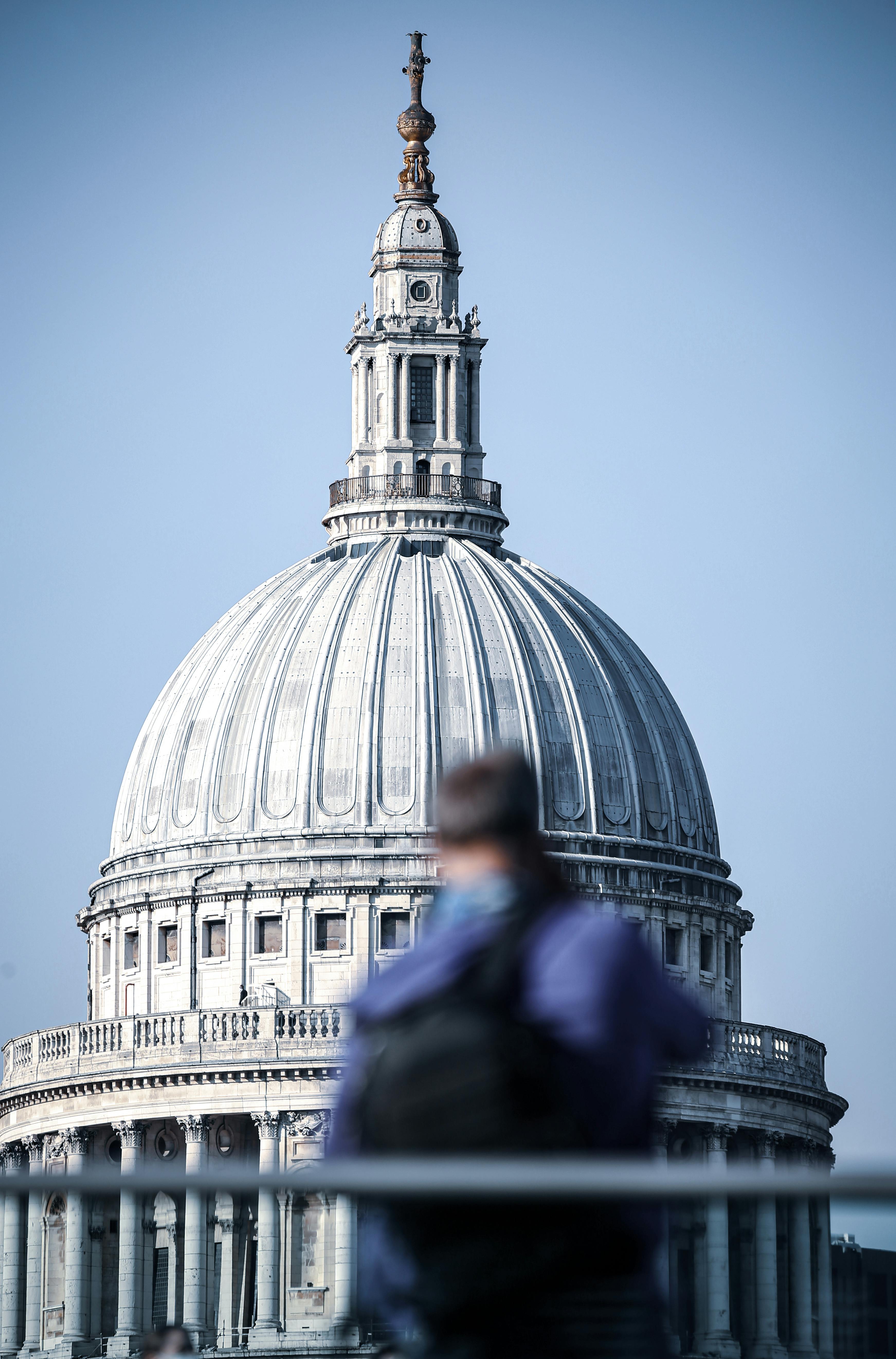 40+ Best Congress Photos · 100% Free Download · Pexels Stock Photos