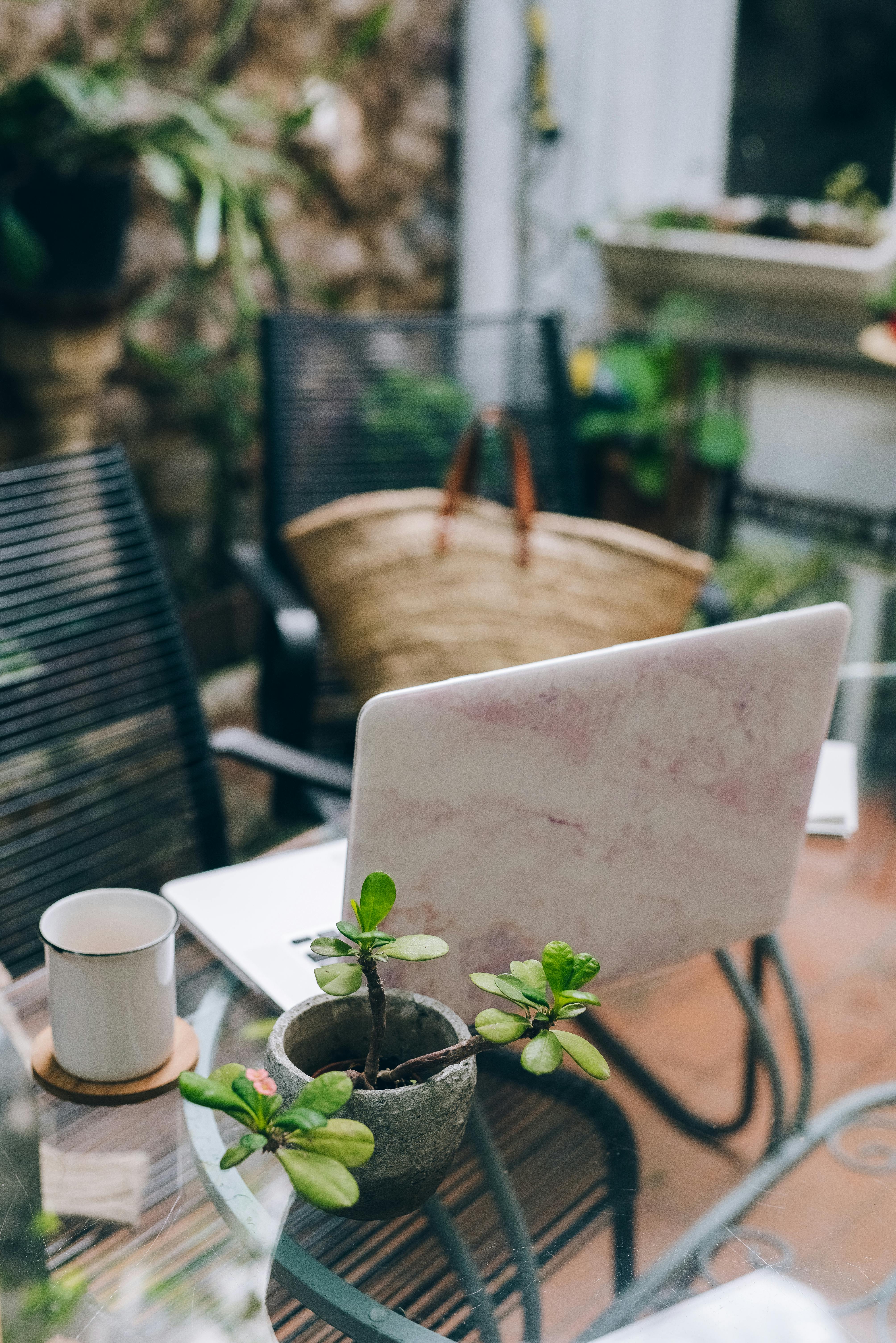 Workspace Tranquility Photos, Download The BEST Free Workspace Tranquility Stock Photos & HD Images