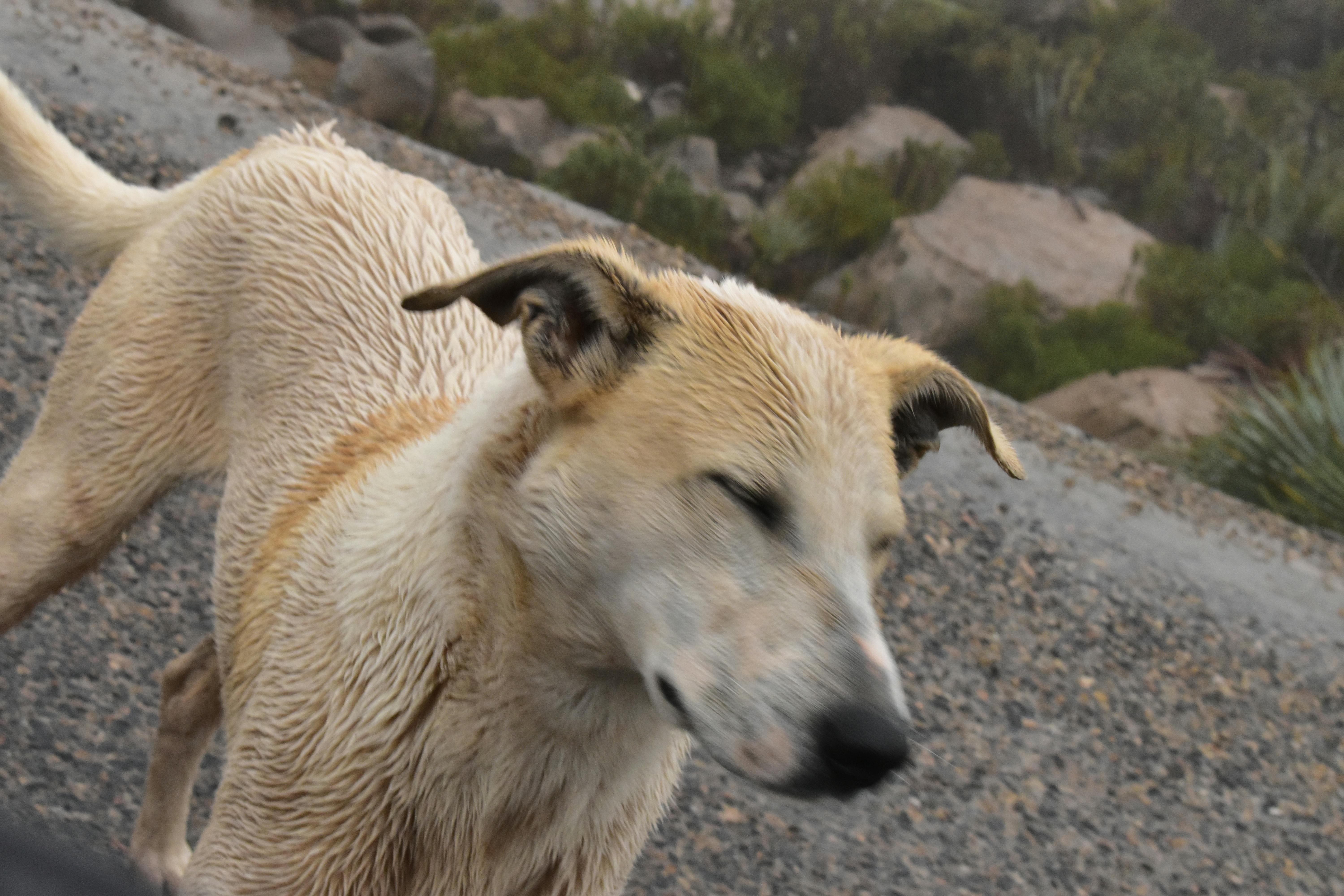 Jamie Tree - Photography