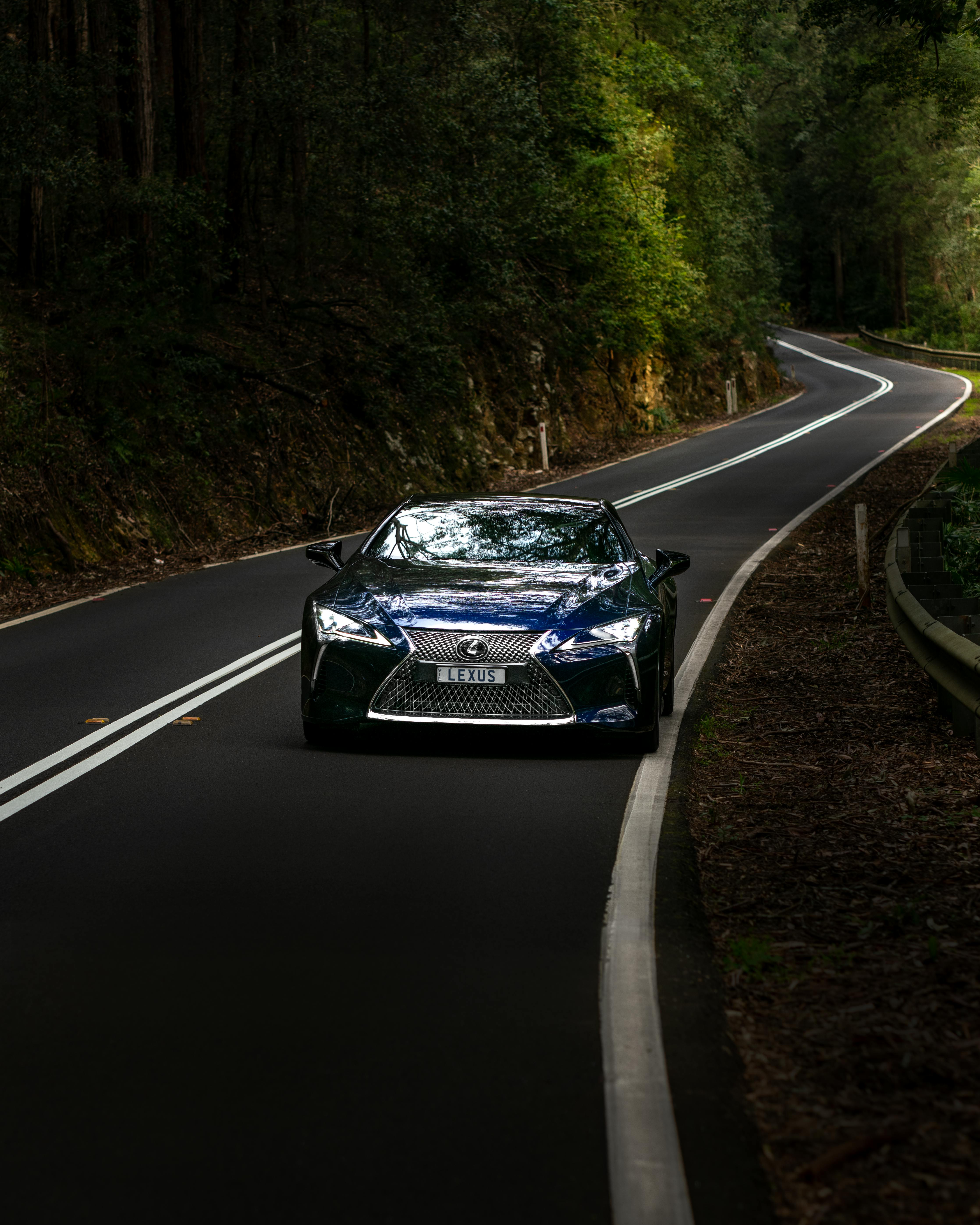 Lexus Gyumolcs Photos, Download The BEST Free Lexus Gyumolcs Stock ...