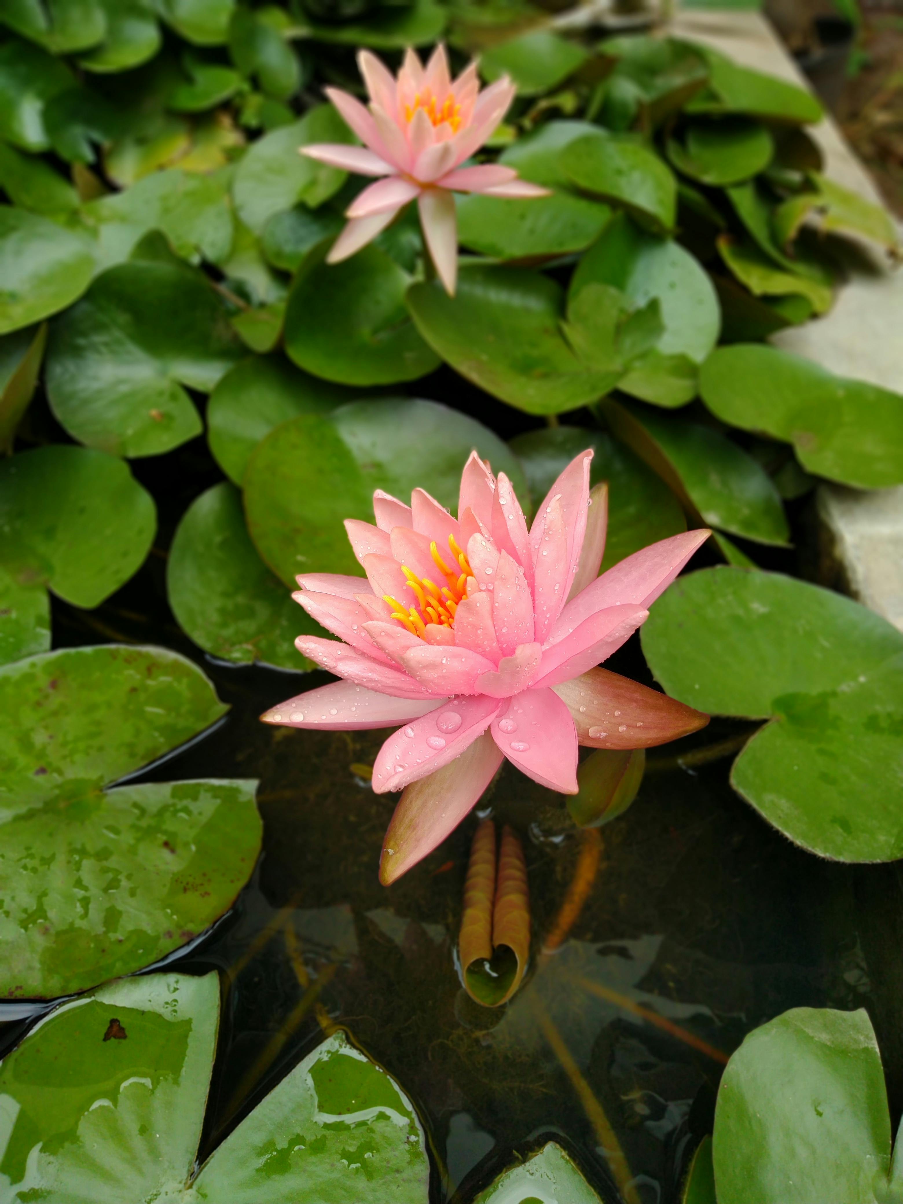 Mayur Dighe - Photography