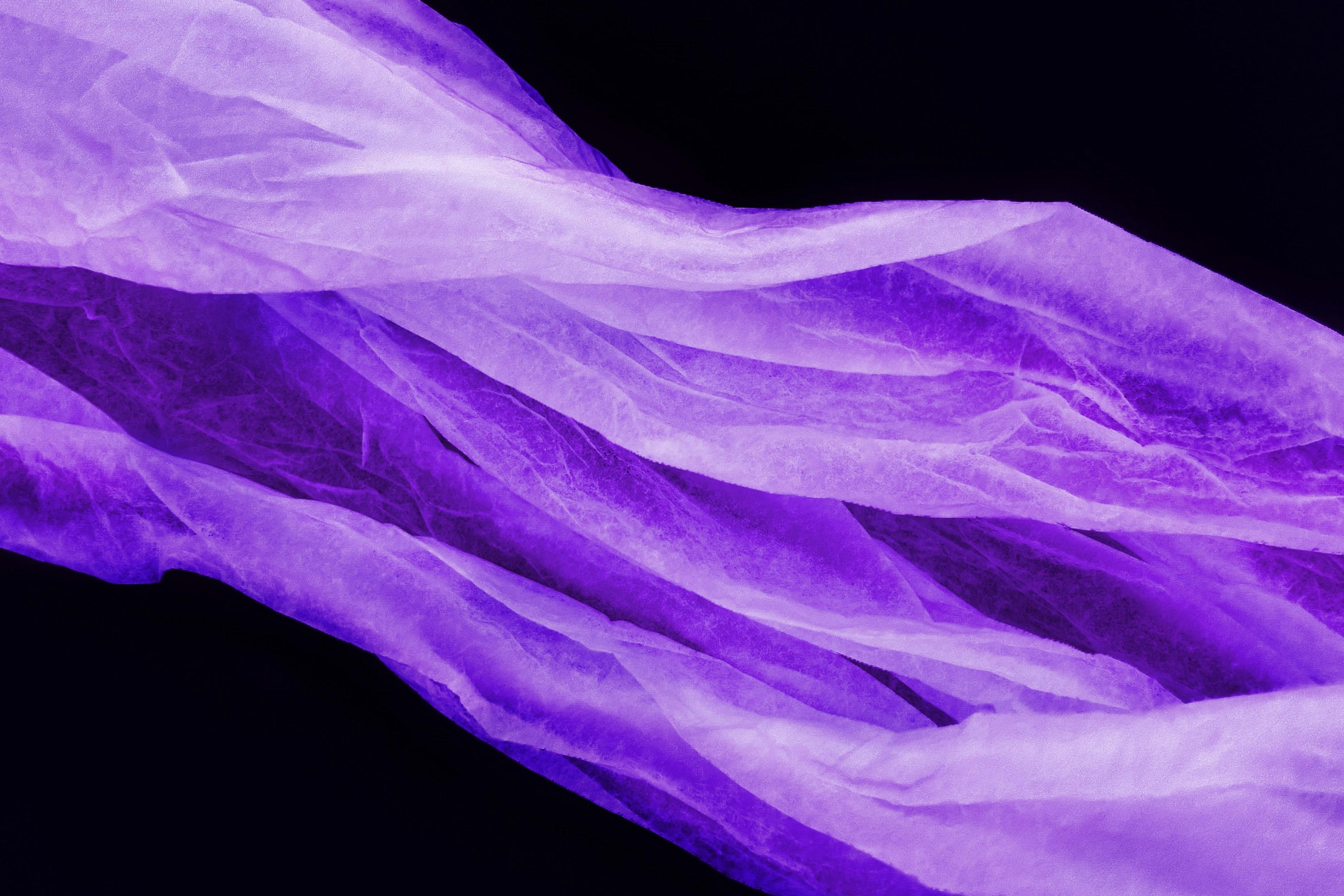 Purple Chiffon in Black Background · Free Stock Photo